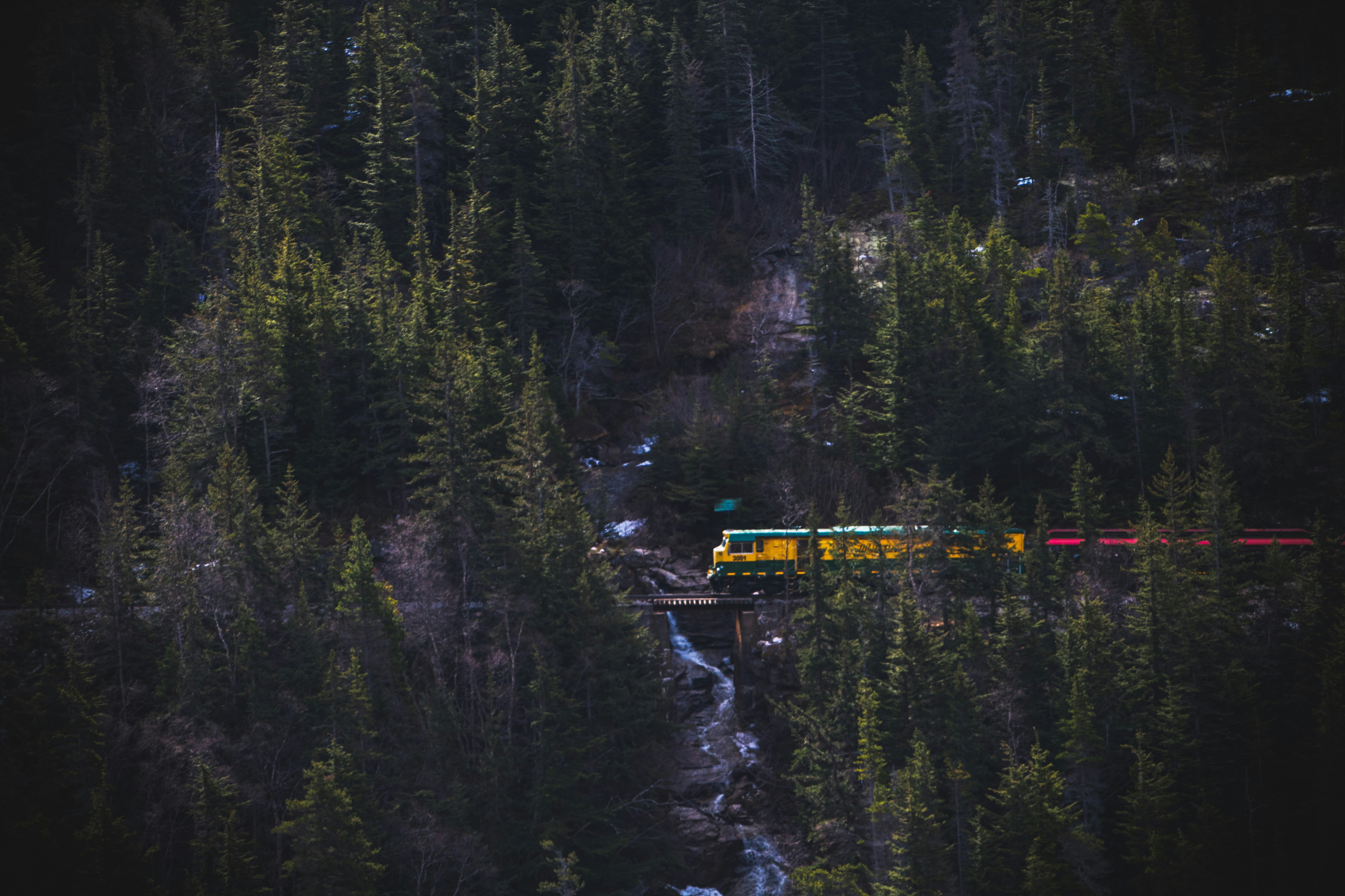 A train going through a forest photo – Free Nature Image on Unsplash
