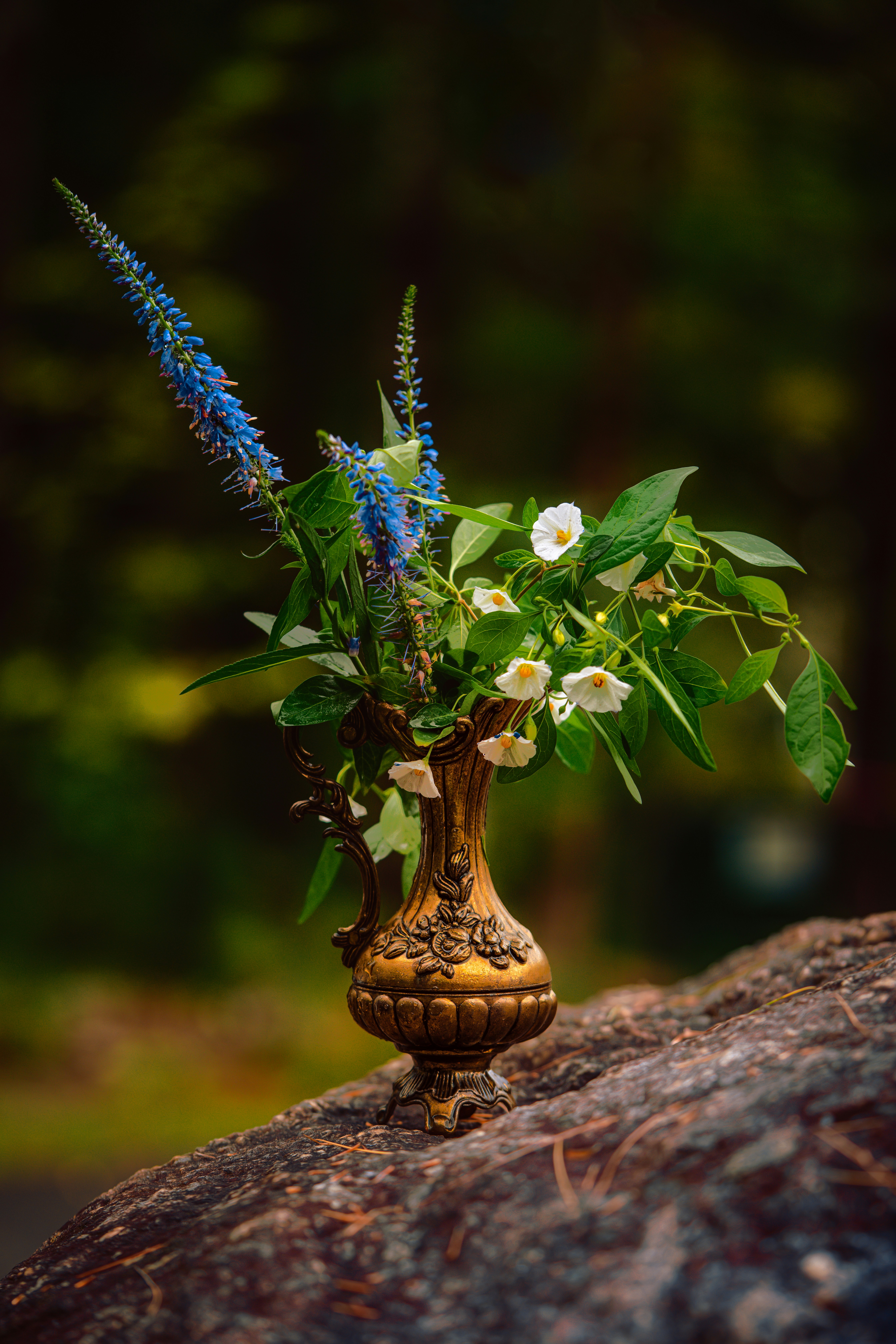 Whispers of Bloom: An antique vase crowned with blue and white blooms on a rugged rock