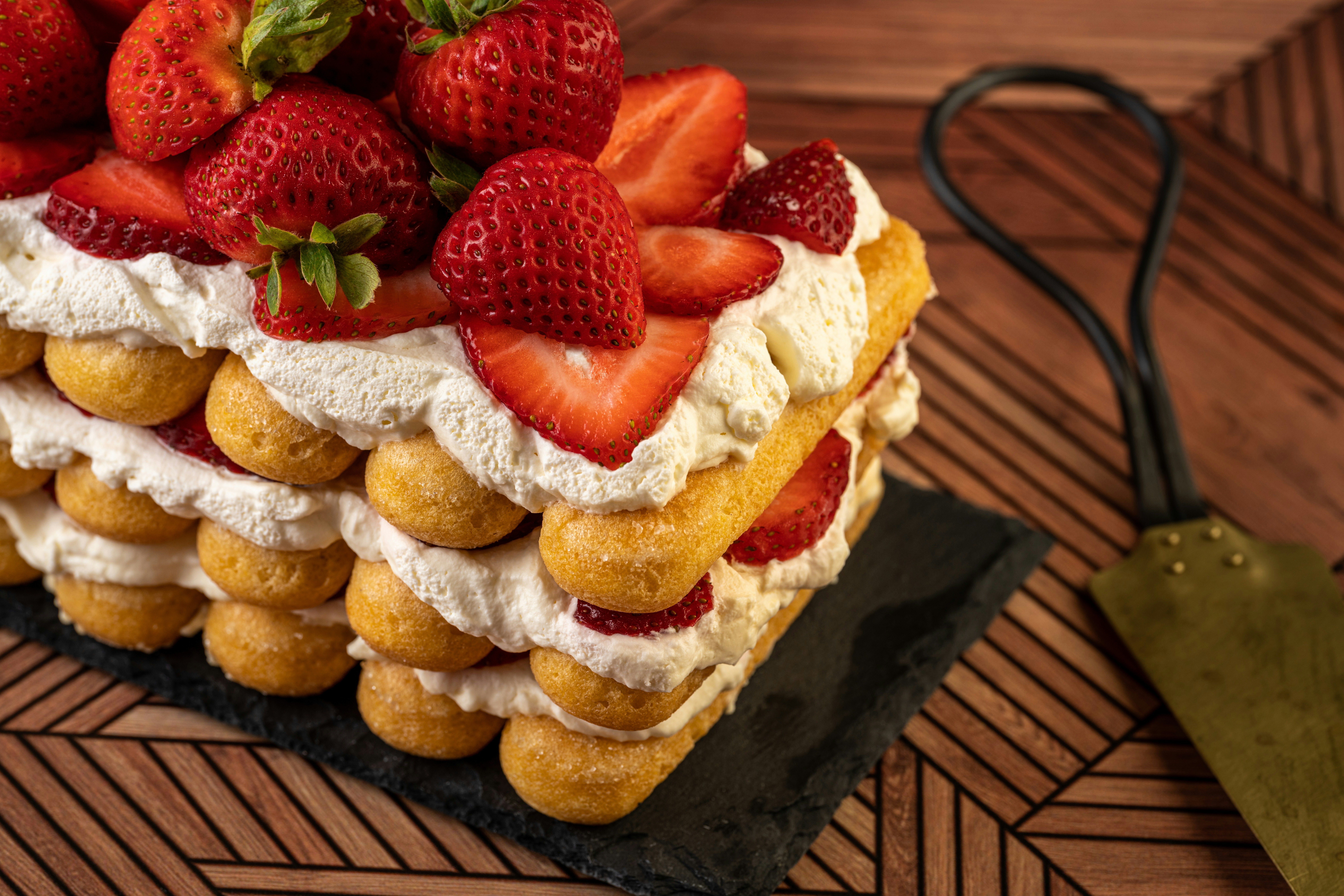 Photo by Skyler Ewing with Sony Alpha 7R IV