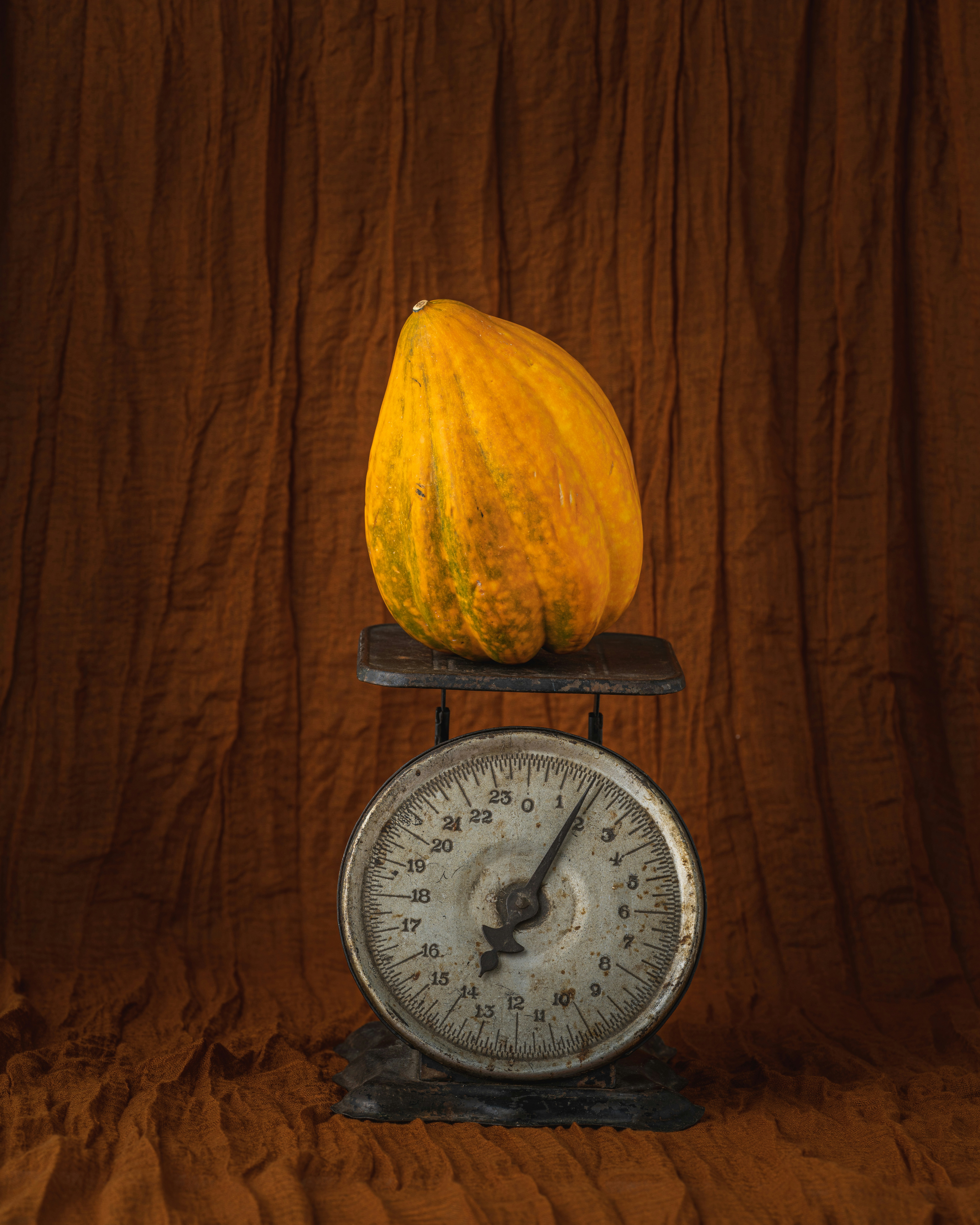 Golden Pumpkin Crowned by Vintage Scales