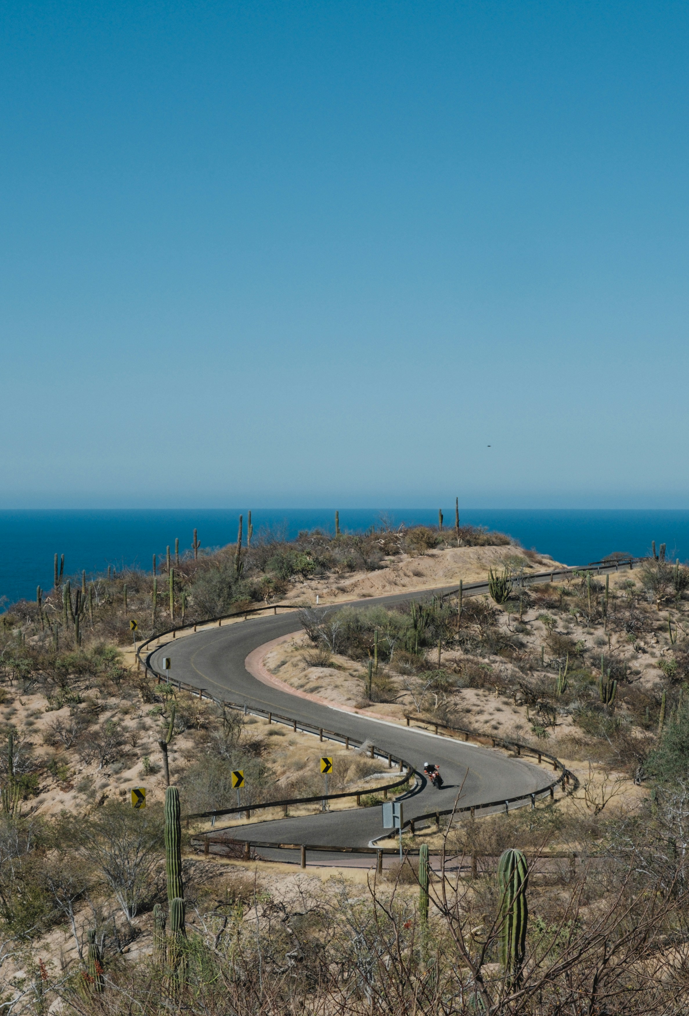 Coastal Desert Curve: a lone rider threads a serpentine road toward the blue horizon