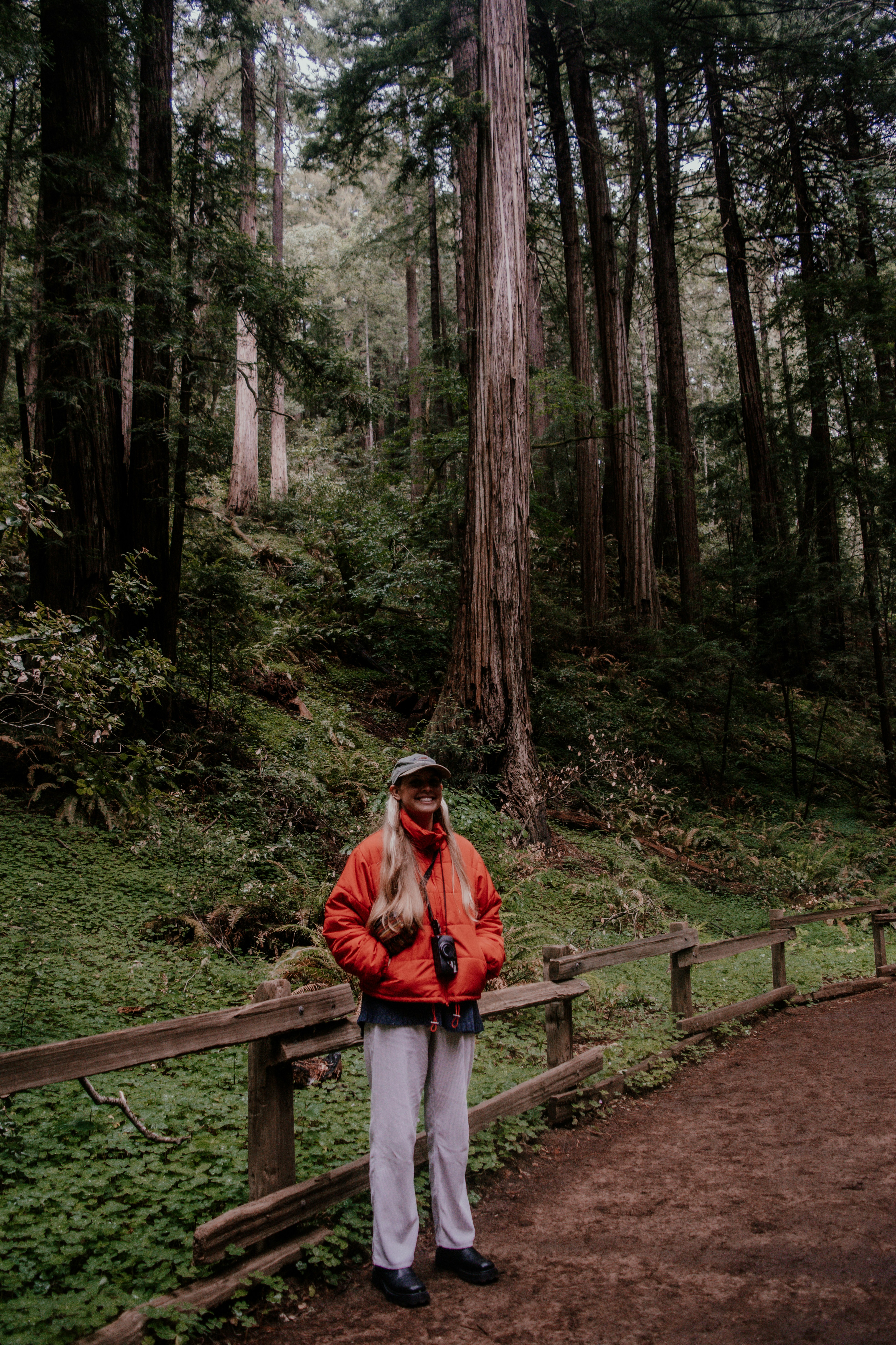 Forest Path Serenade: An Elderly Hiker in Red Amid Tall Cedars