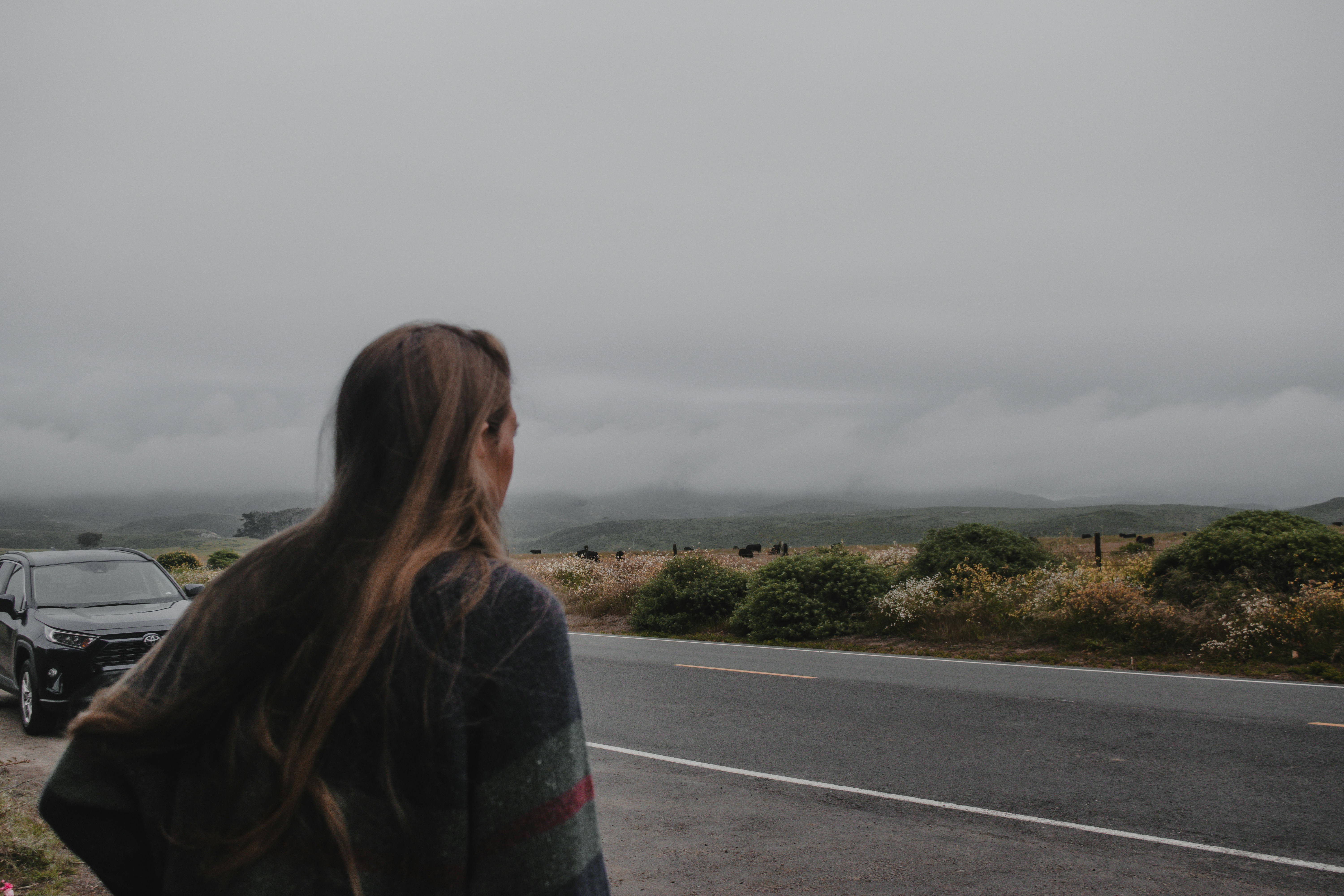 Horizon on Hold: The Back of a Traveler by a Fog-Wrapped Road