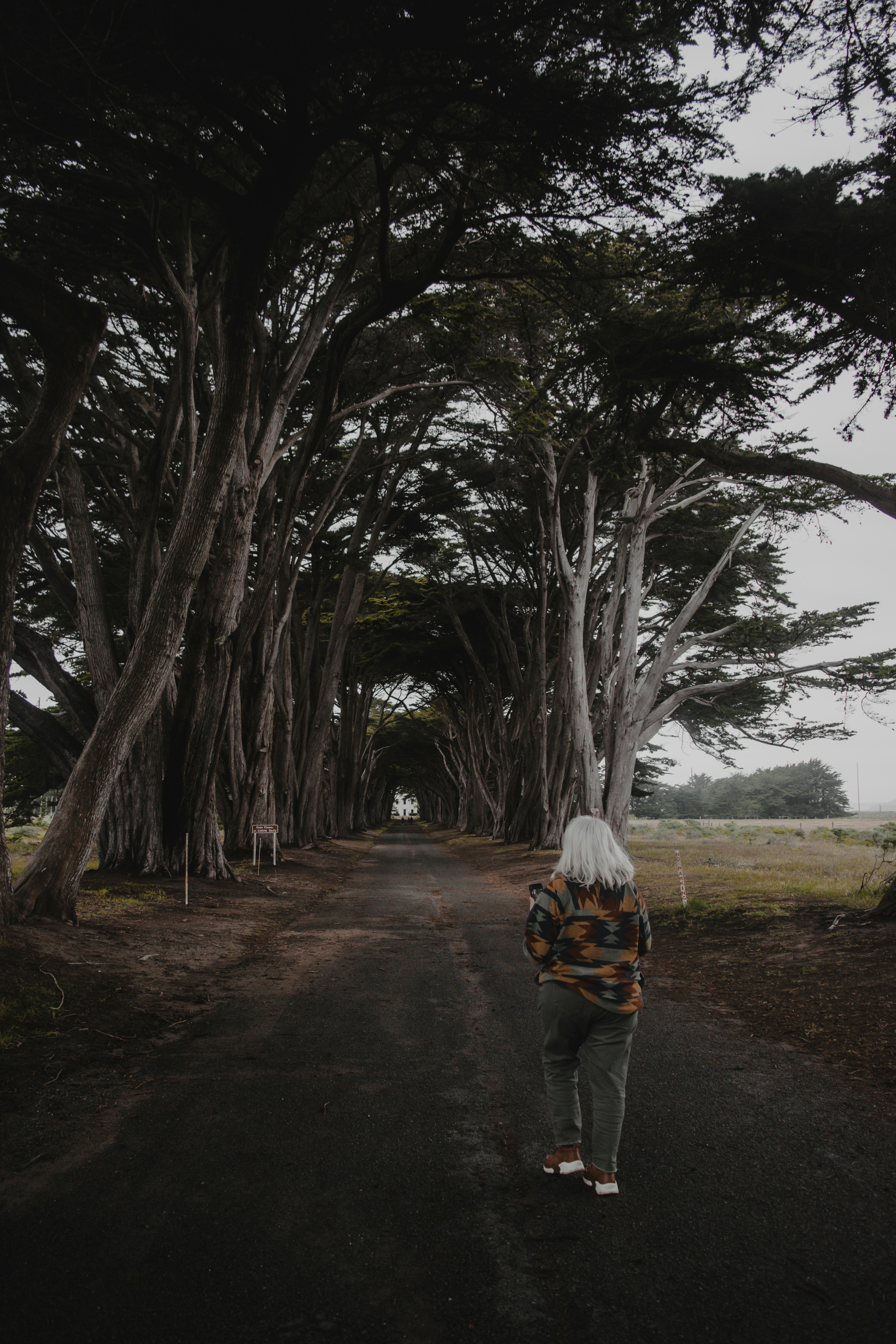 A person walking on a path photo – Free Grey Image on Unsplash