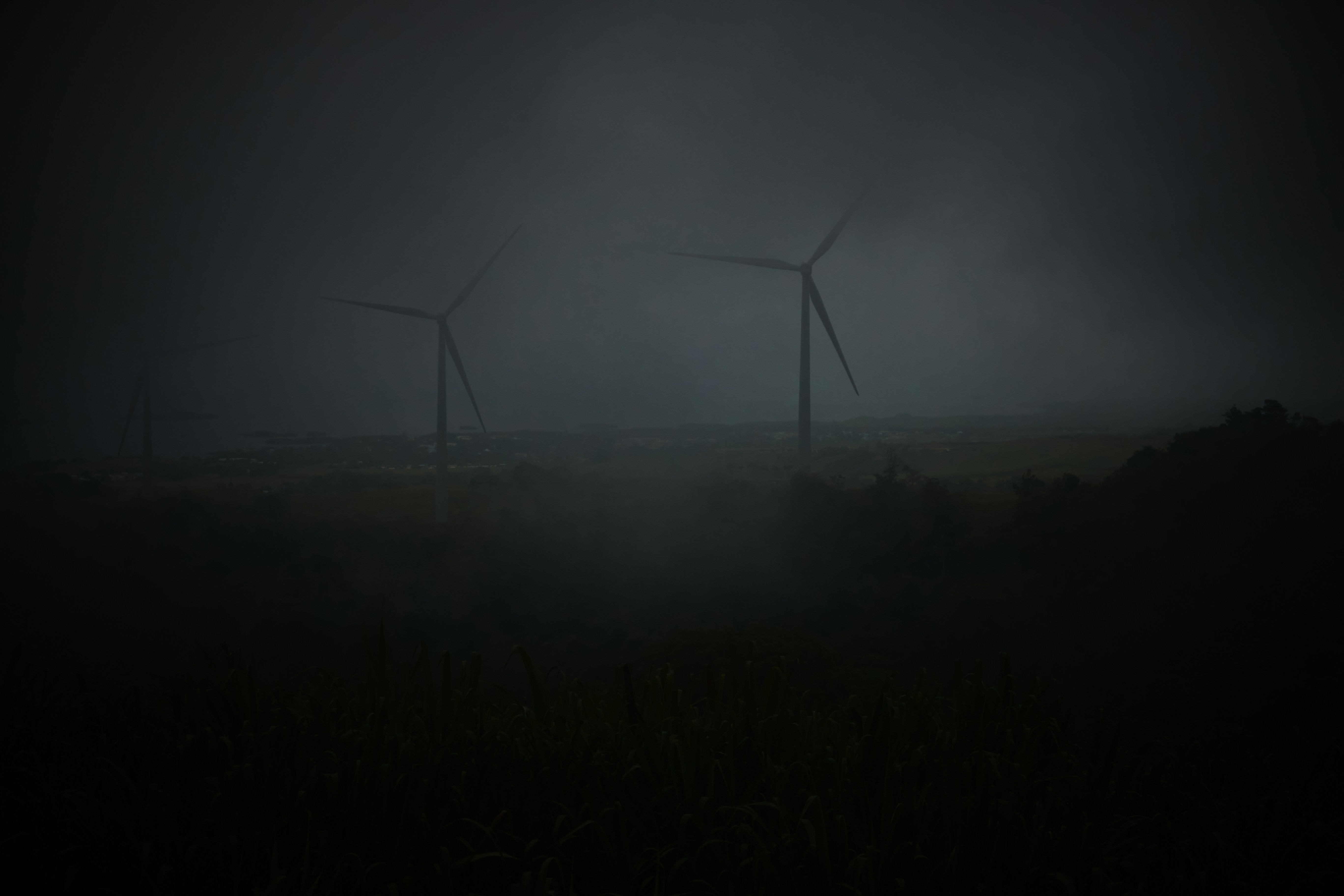 Whispering Giants in the Mist