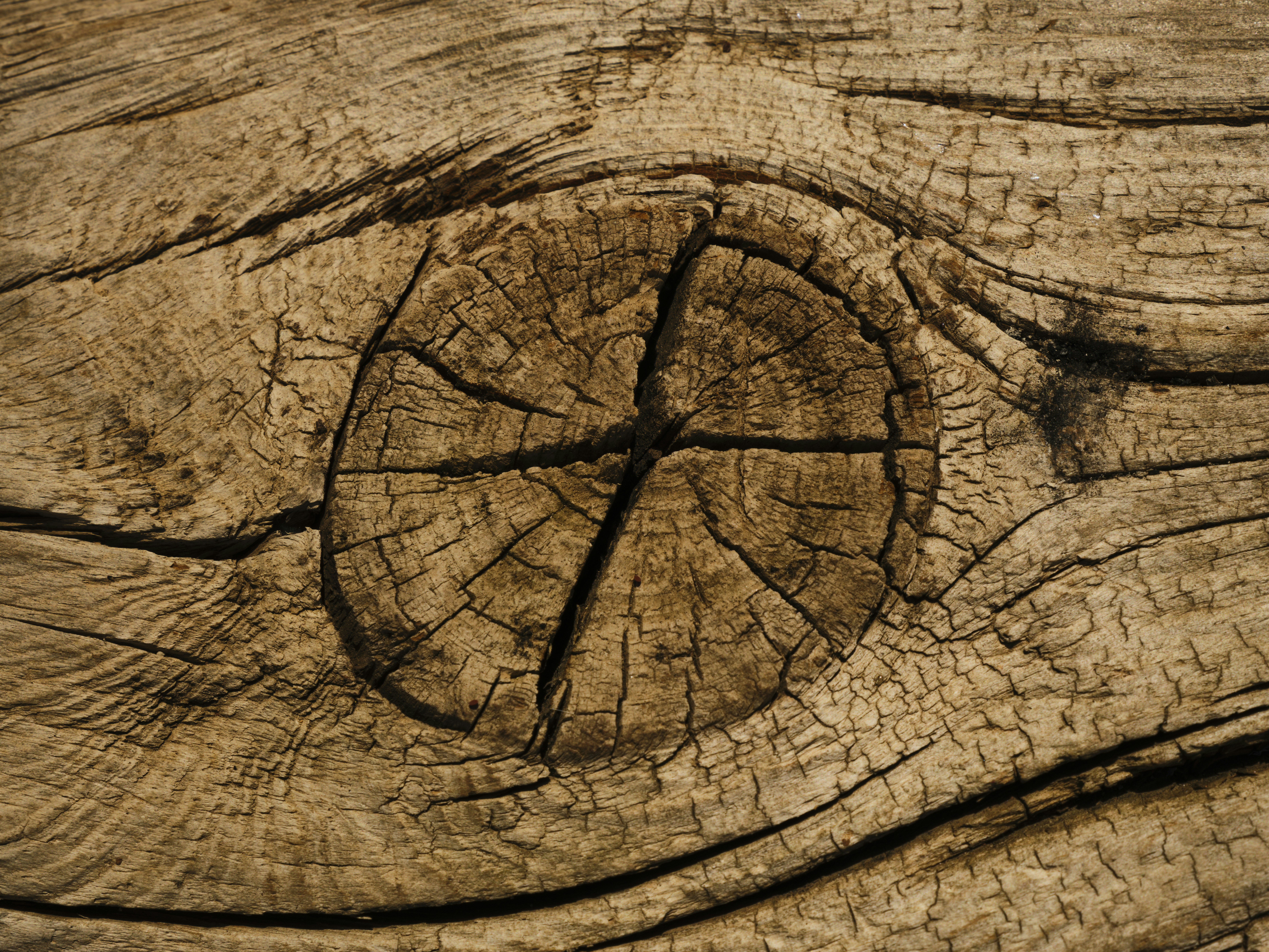 Close-up of a weathered wooden surface showcasing a prominent tree knot with detailed cracks and textures.