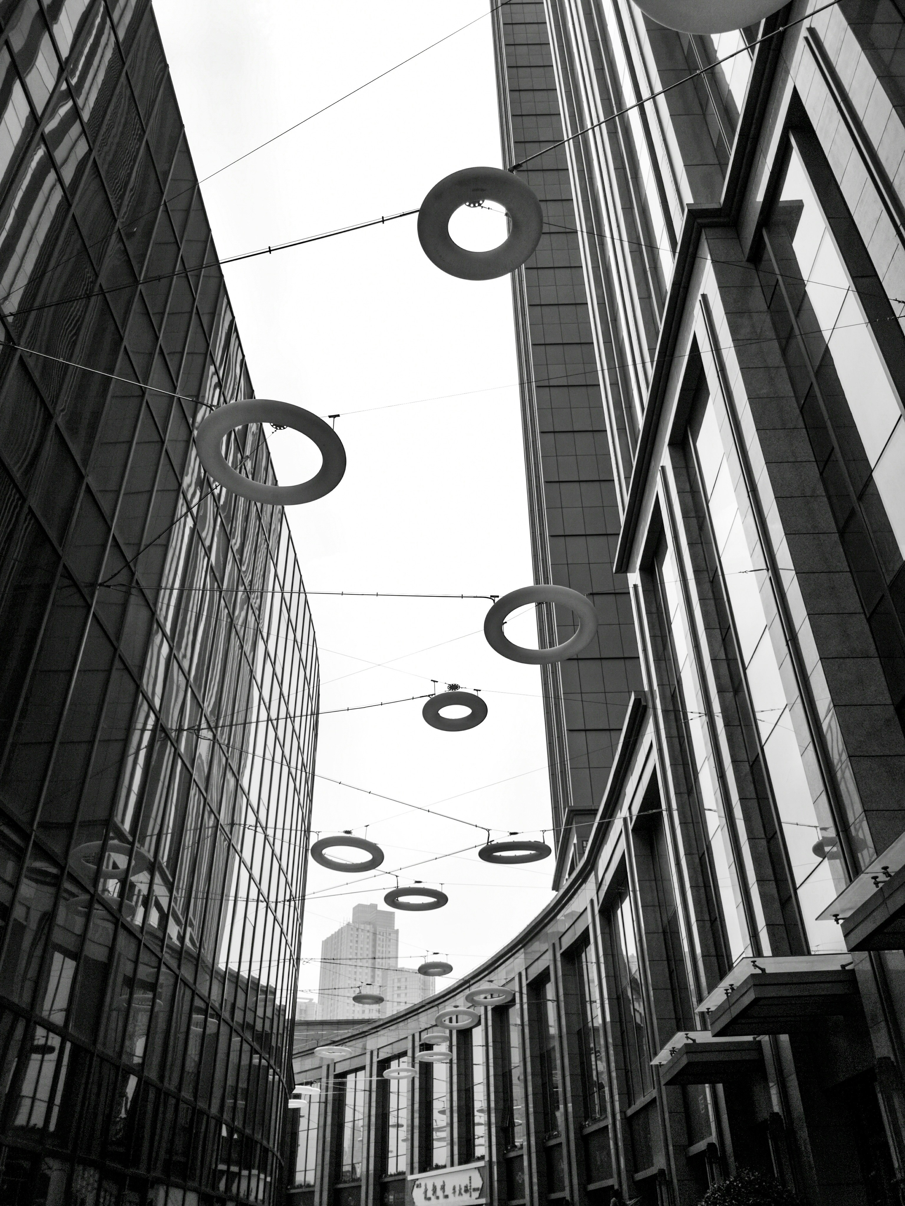 Orbital Rings Span a Monochrome Glass City