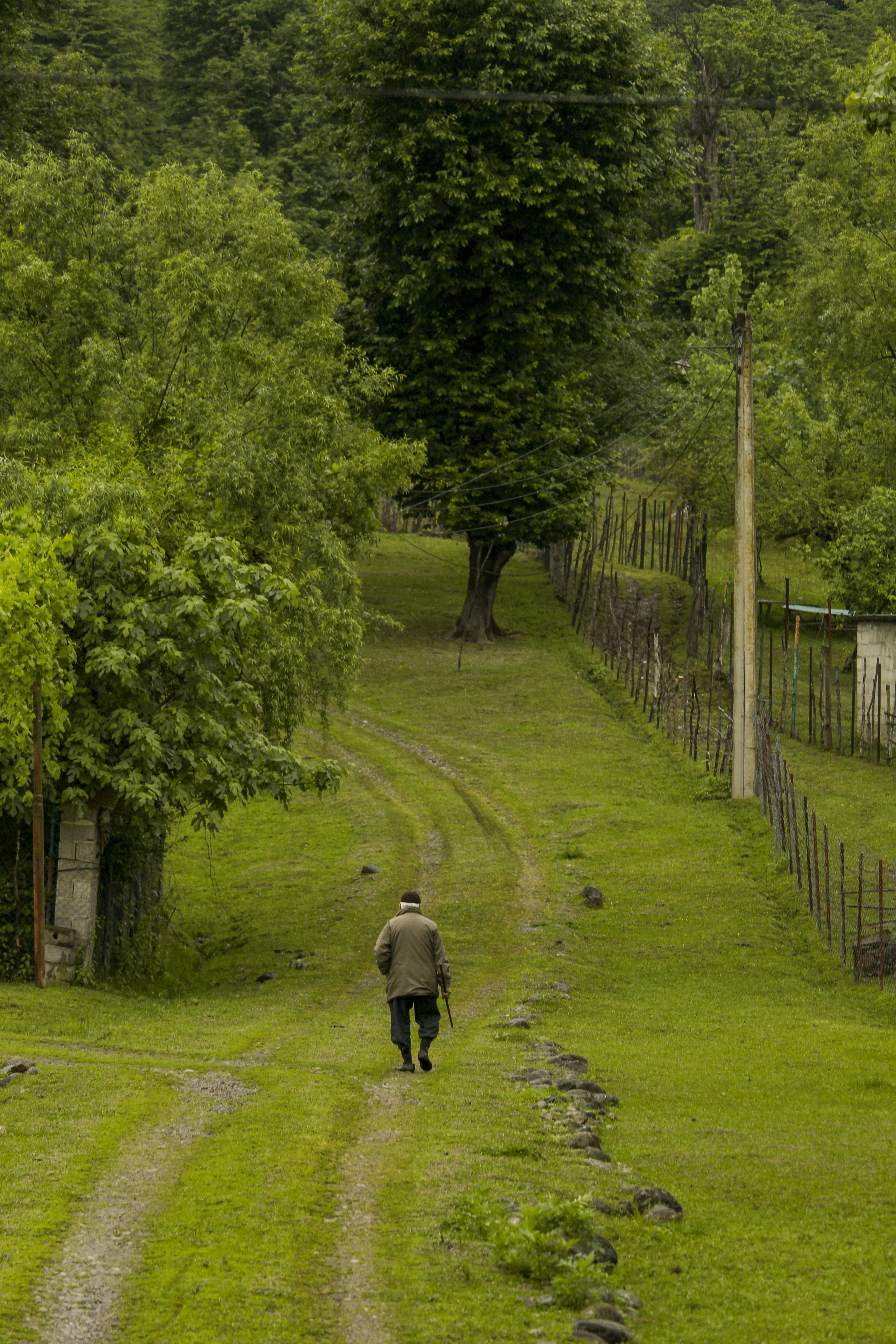 Disposition vs. Position - What's the Difference? | This vs. That