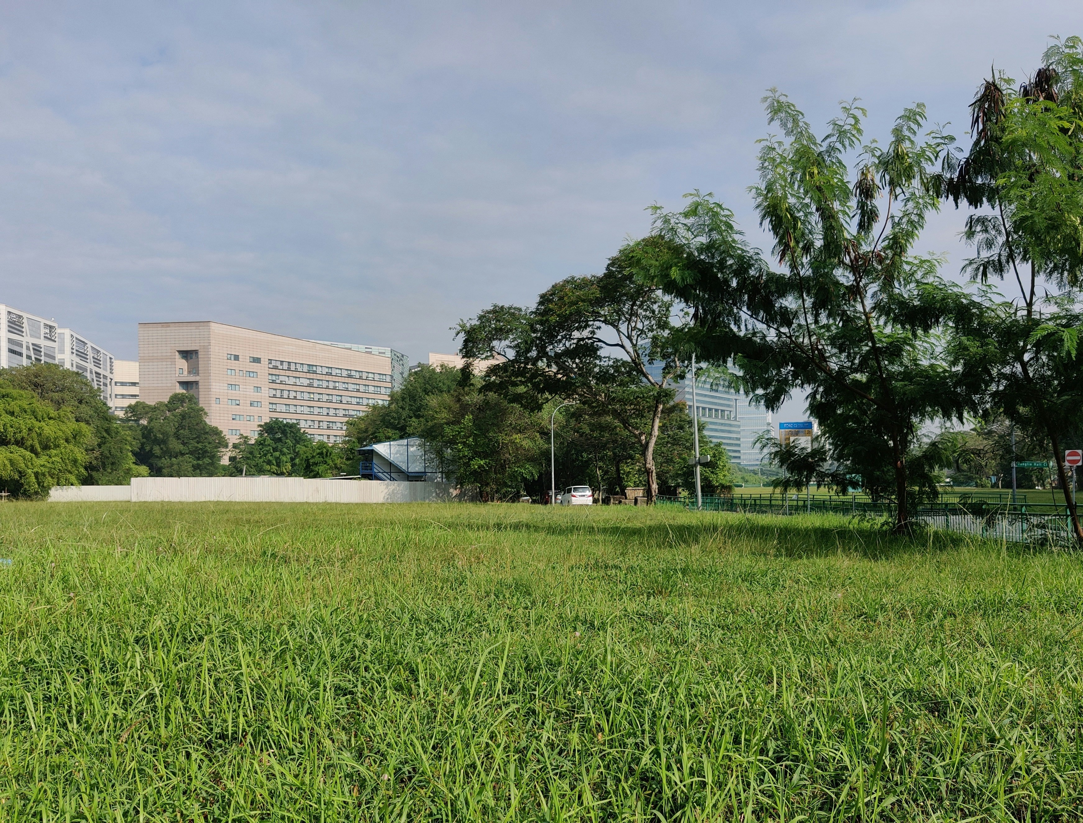 An untamed field with Proteos building (Biopolis) in the background