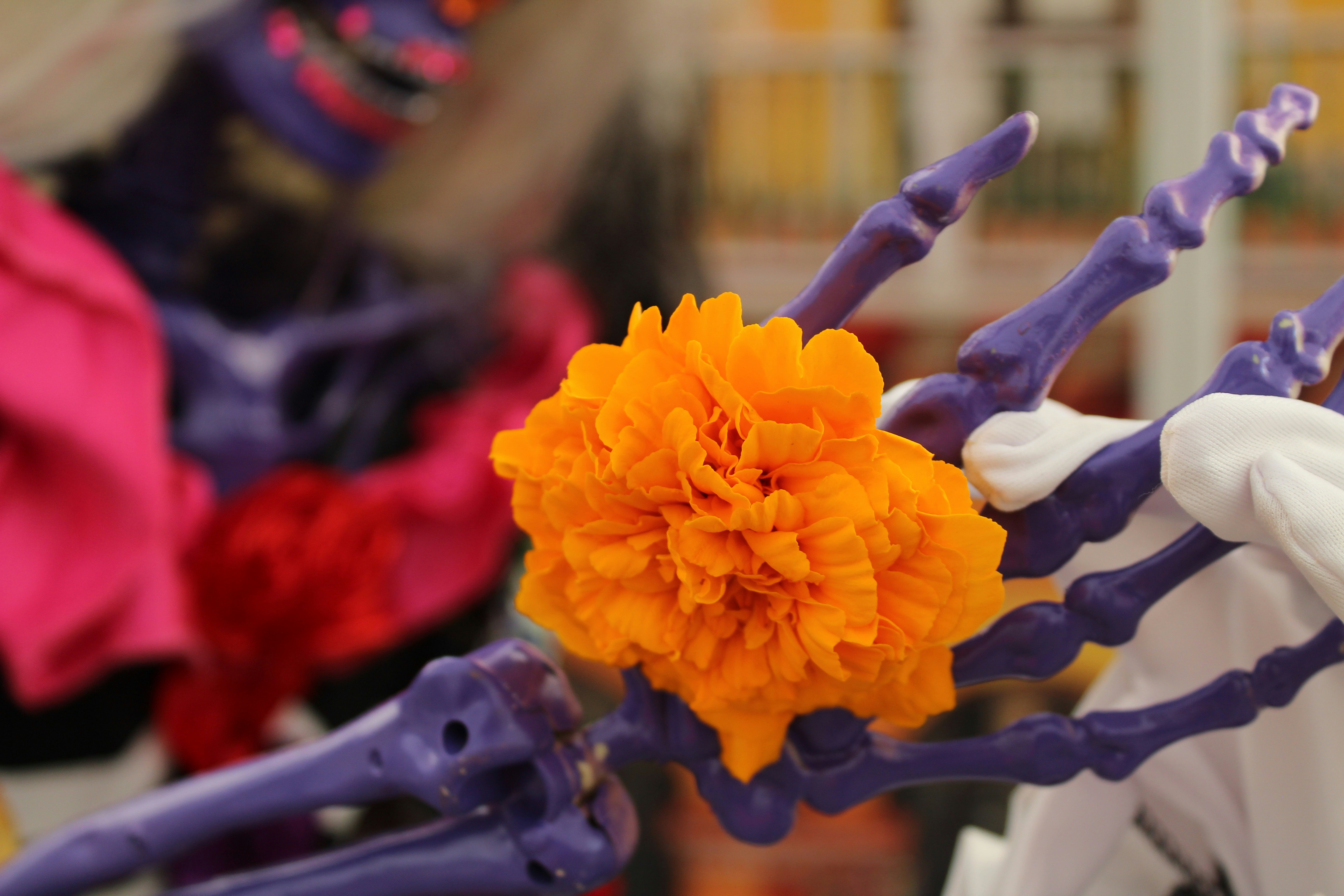 Orange Bloom on Purple Scaffold: A Close-Up of a Petal-Centered Moment