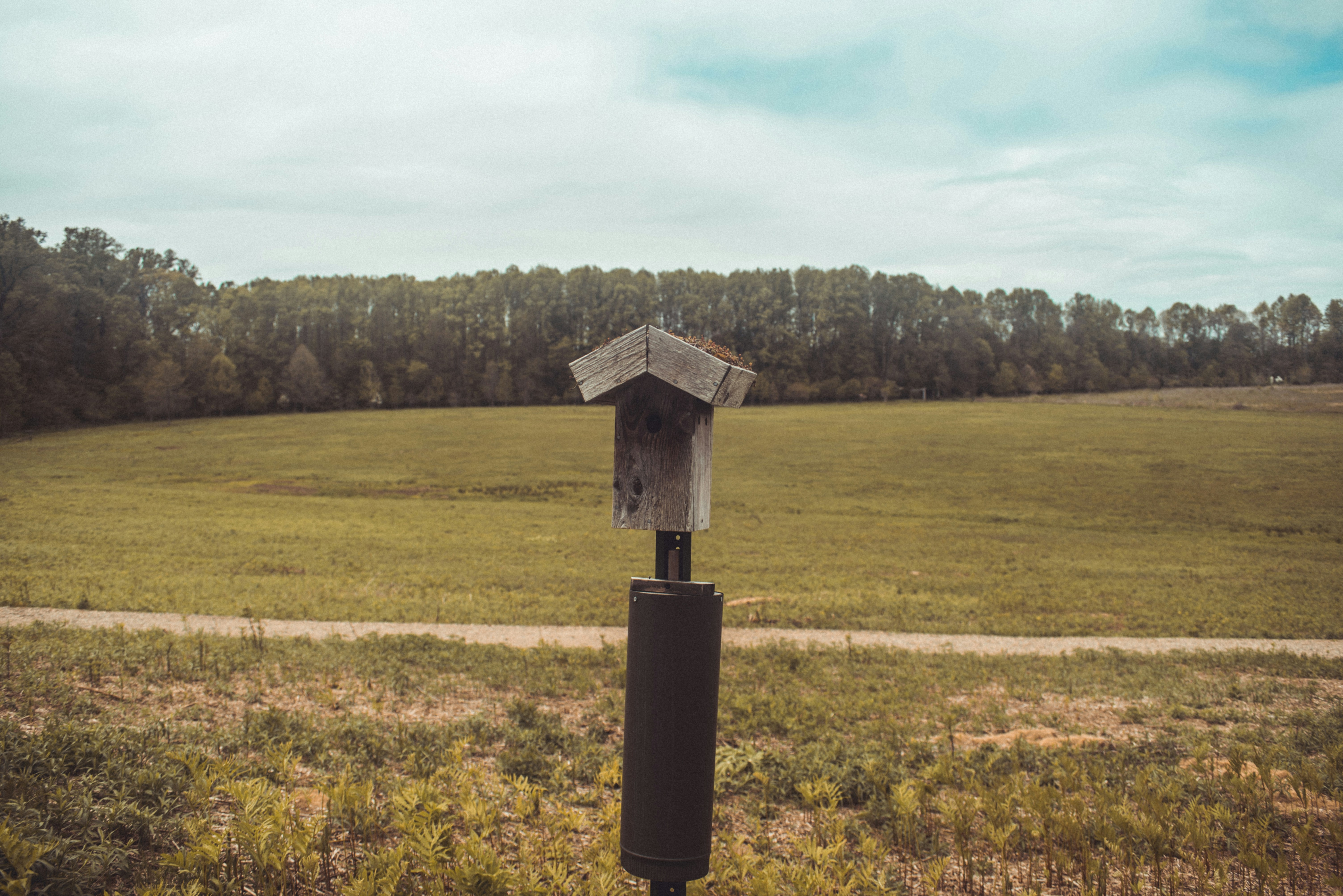 Weathered Birdhouse on a Lone Post Framing a Quiet Prairie Landscape