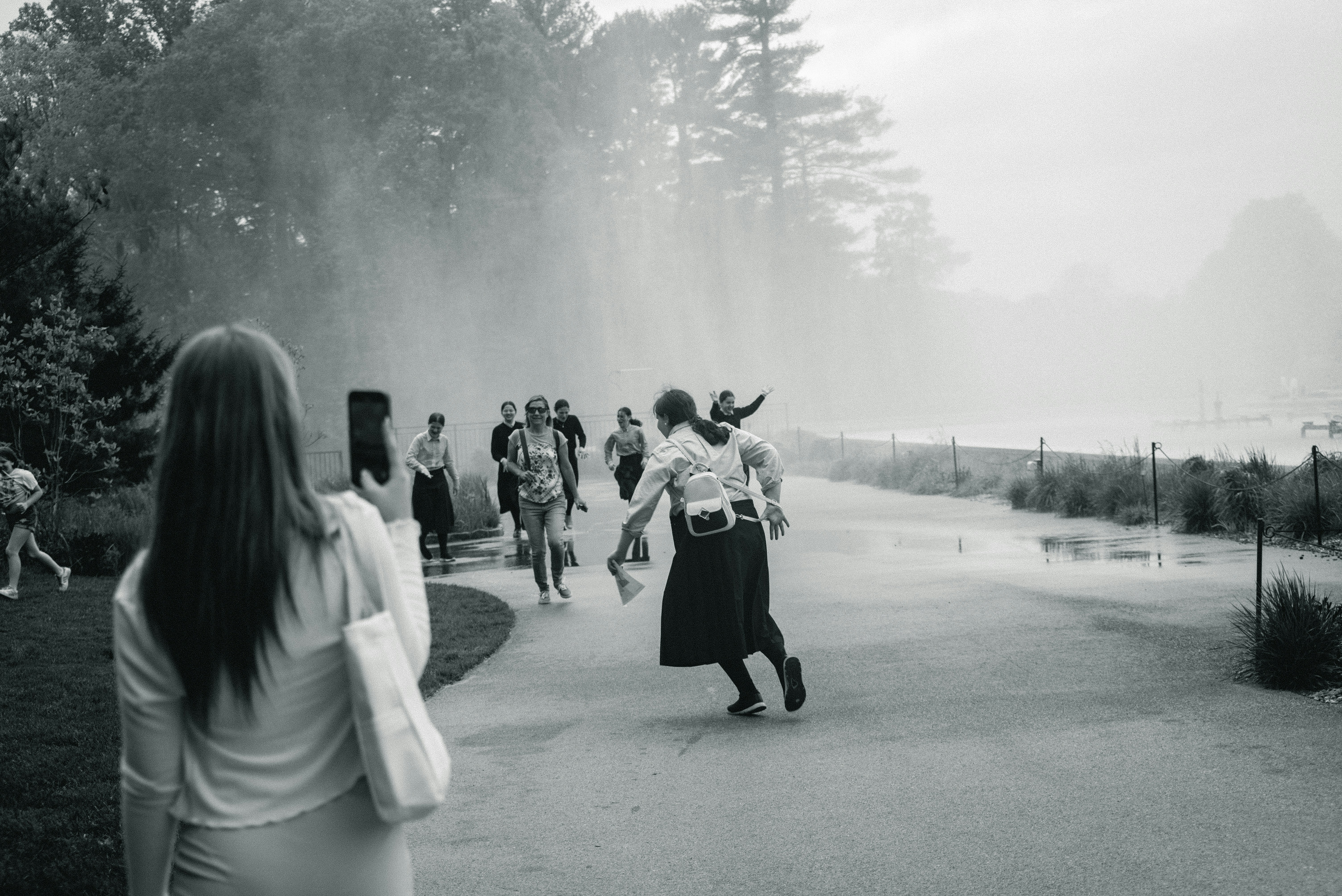 Confluence in the Mist: A Park Path Portrait