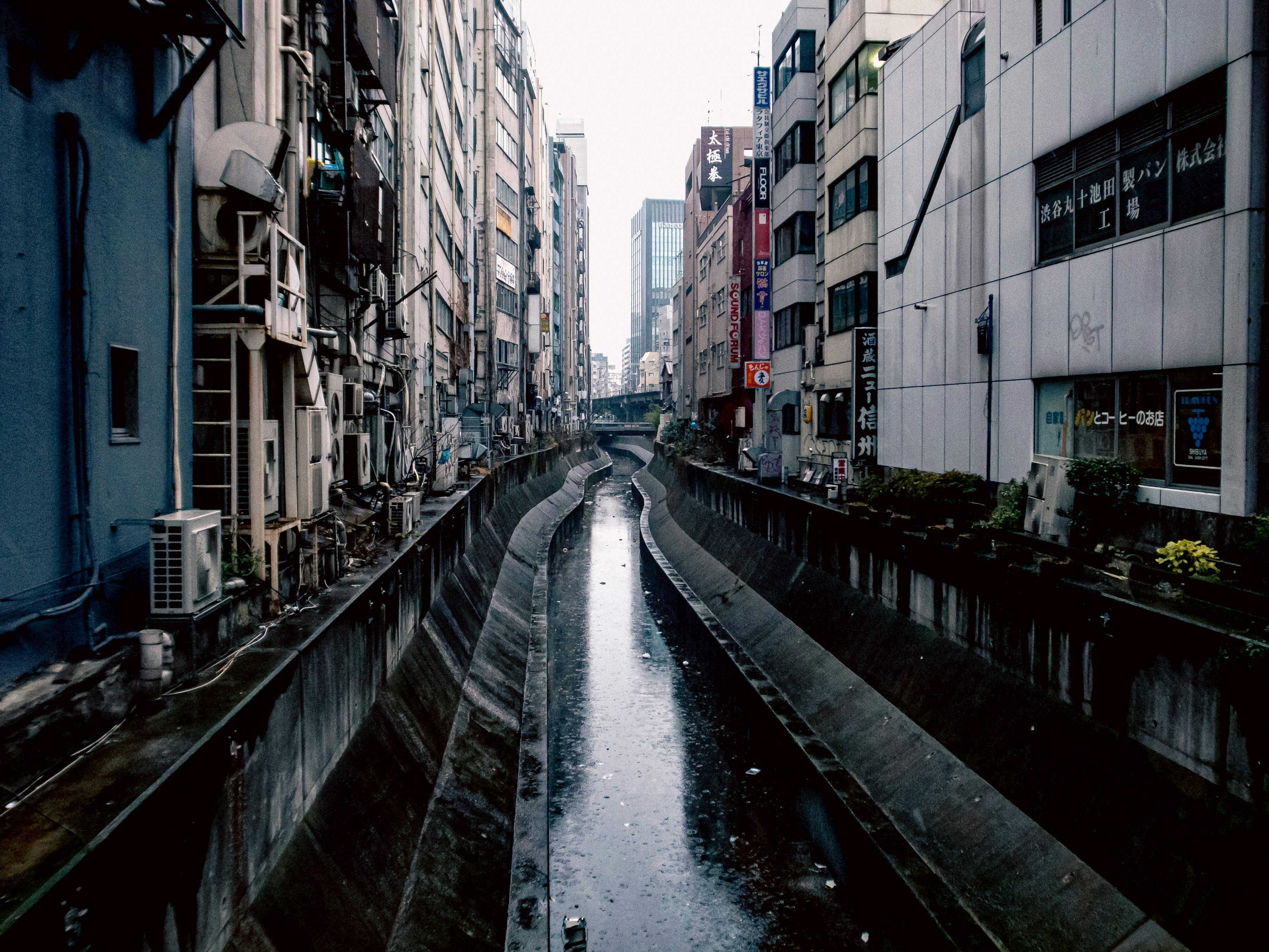 Sample photo from Ricoh GR Digital IV