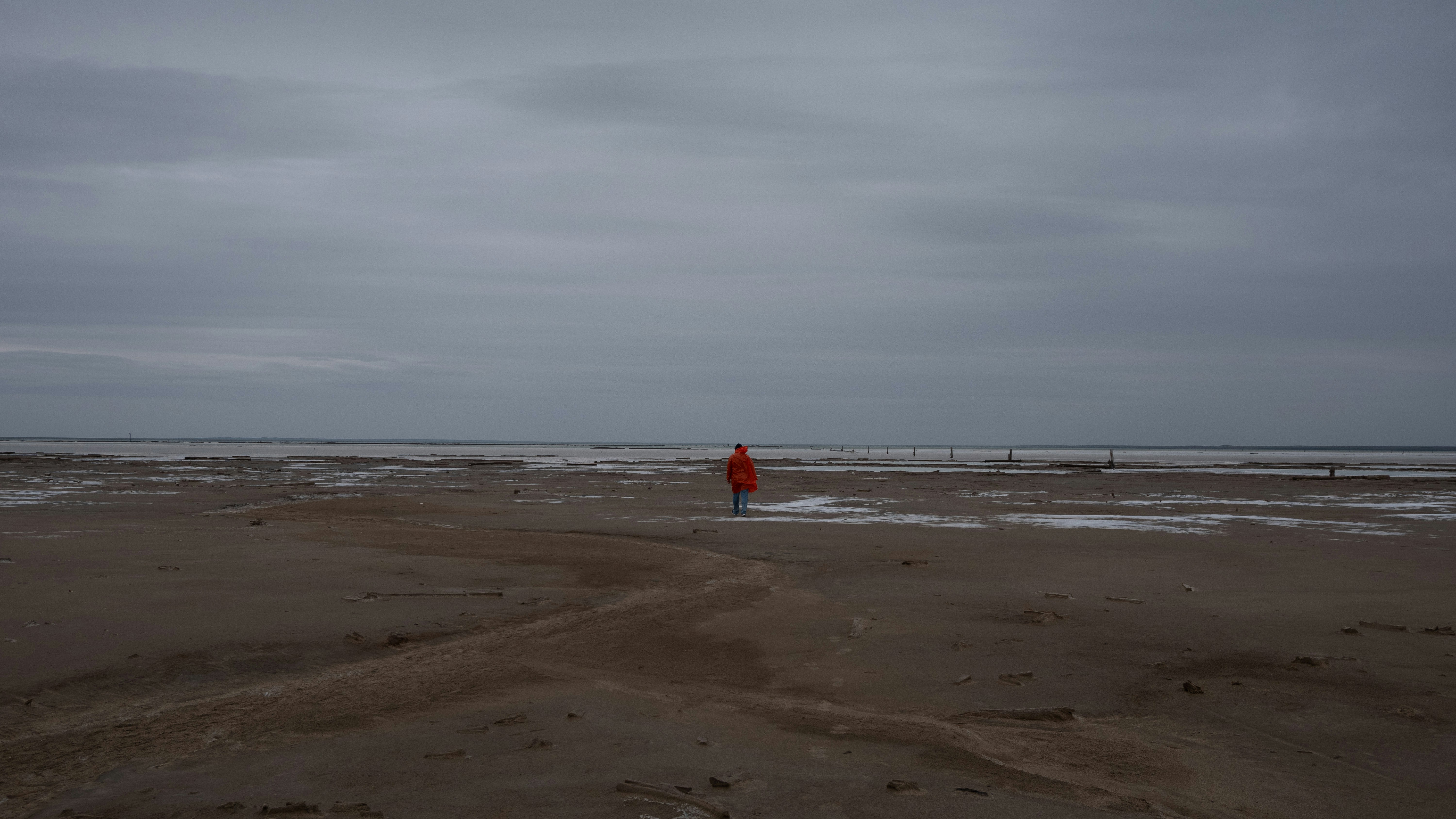 Solitary Stroll on a Moody Shoreline