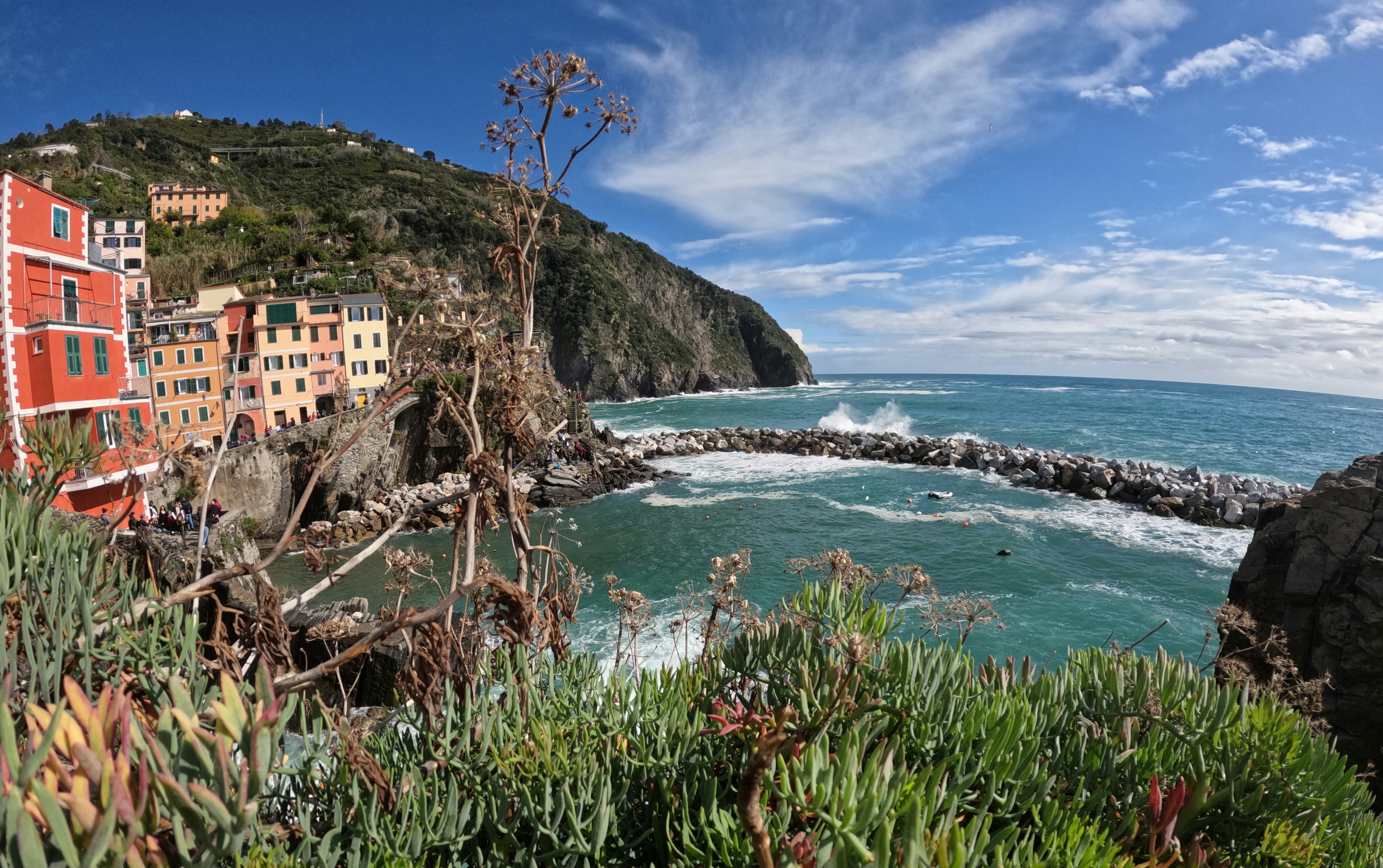 Colorful cliffside houses cling to a rocky coastline as turquoise waves crash on a breakwater. Foreground succulent plants frame a sunlit Mediterranean scene.