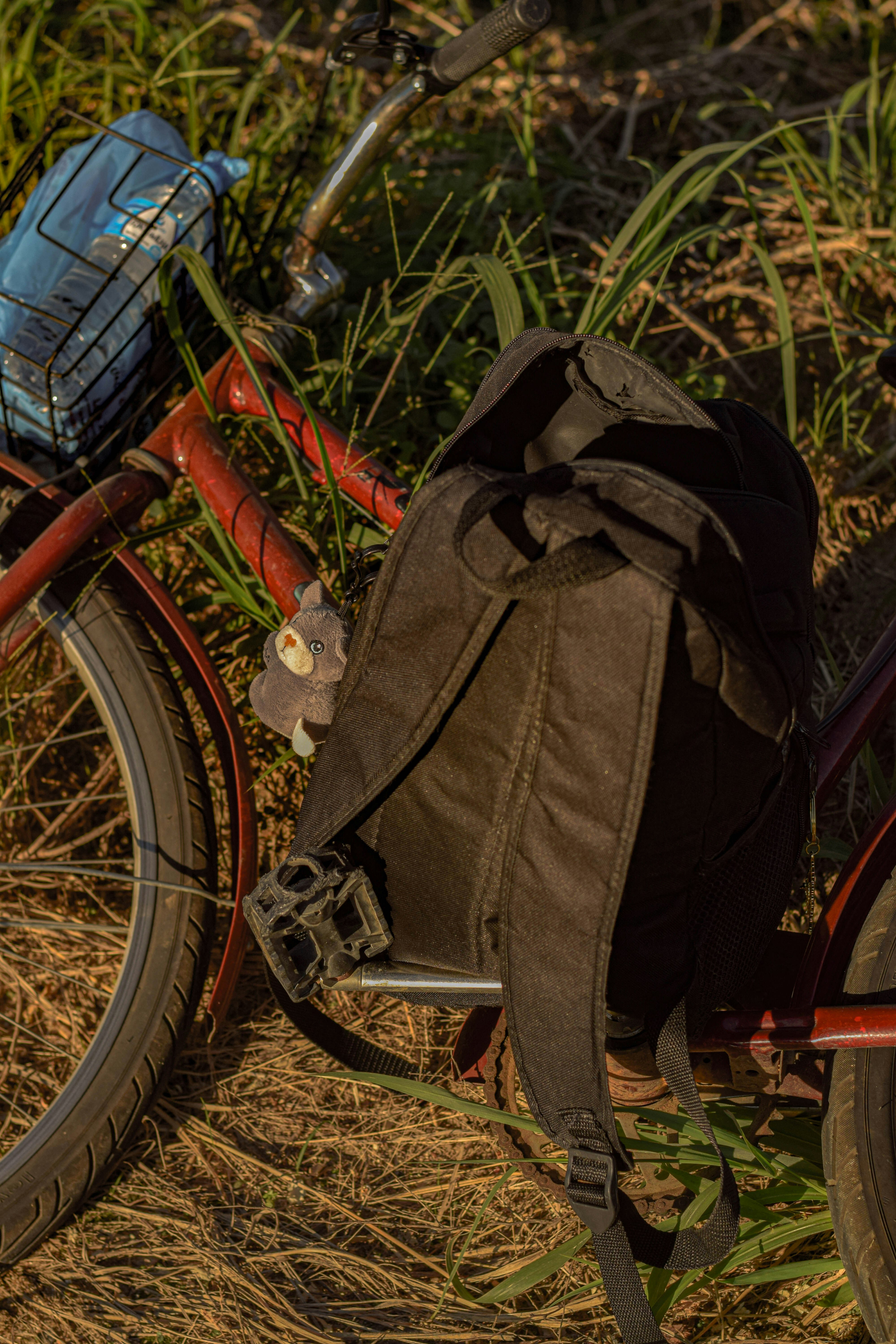 Random Photos Pictures | Download Free Images on Unsplash