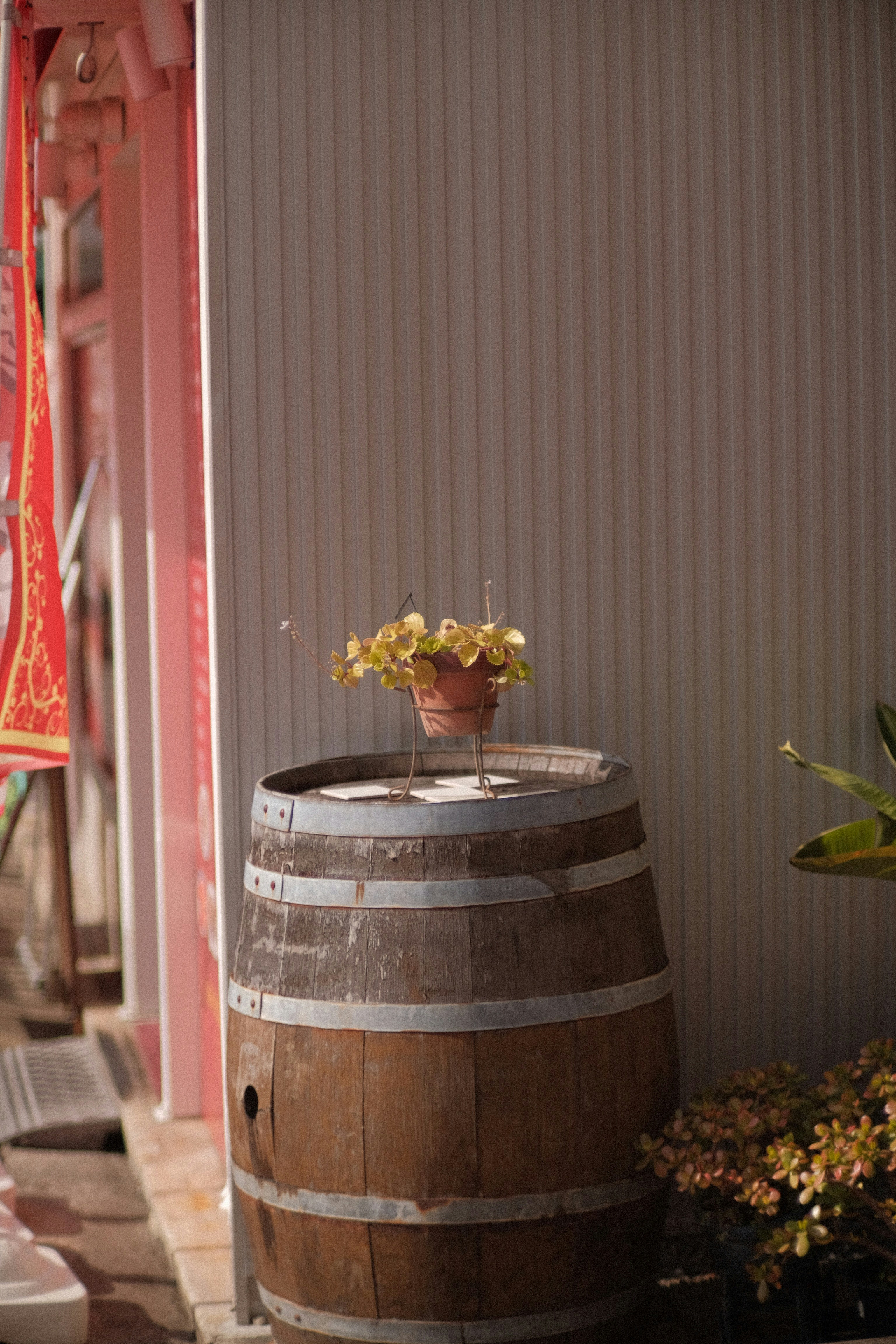 Foto Un barril con flores en él – Imagen Barril gratis en Unsplash