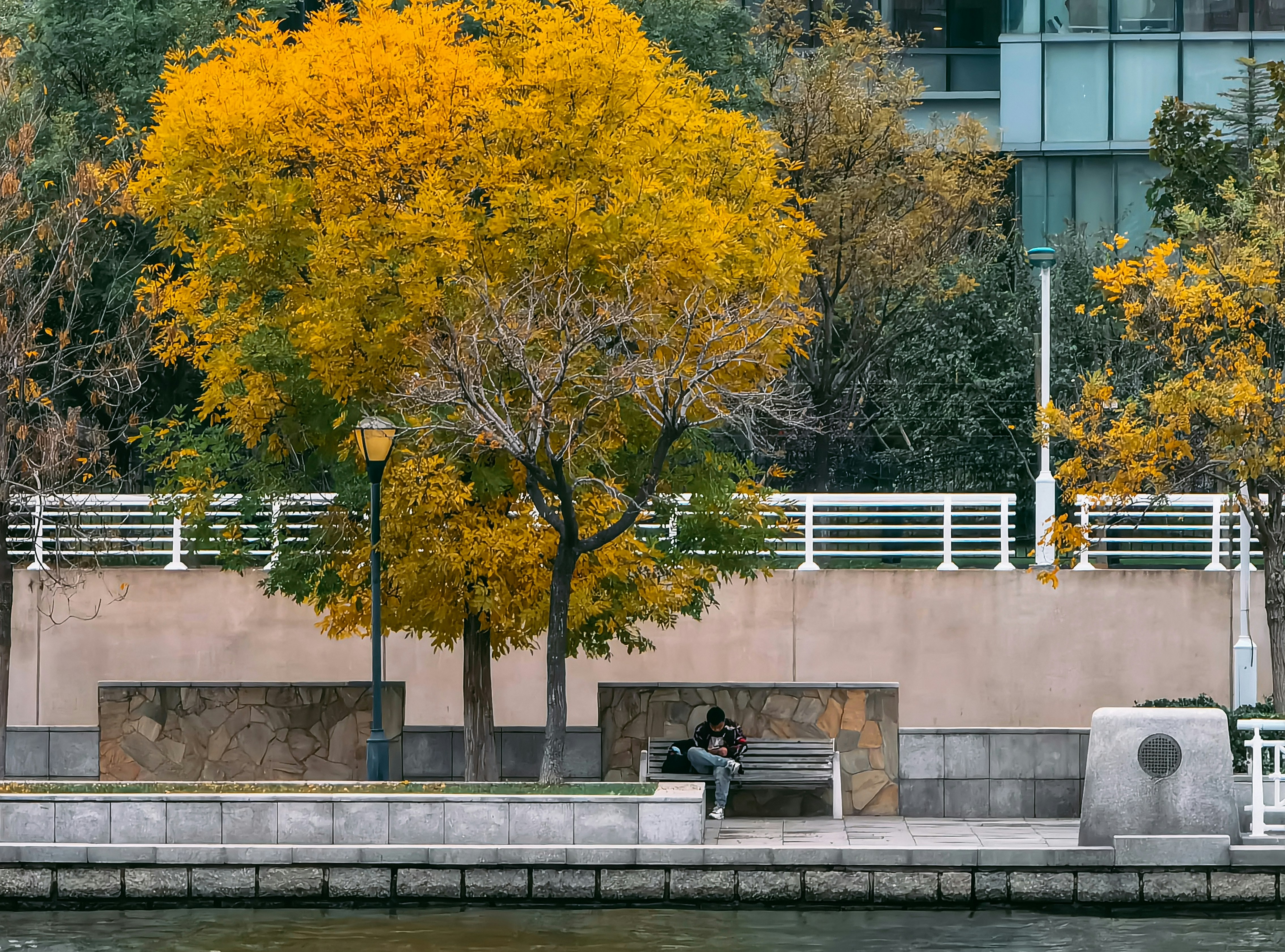 a person sitting on a bench