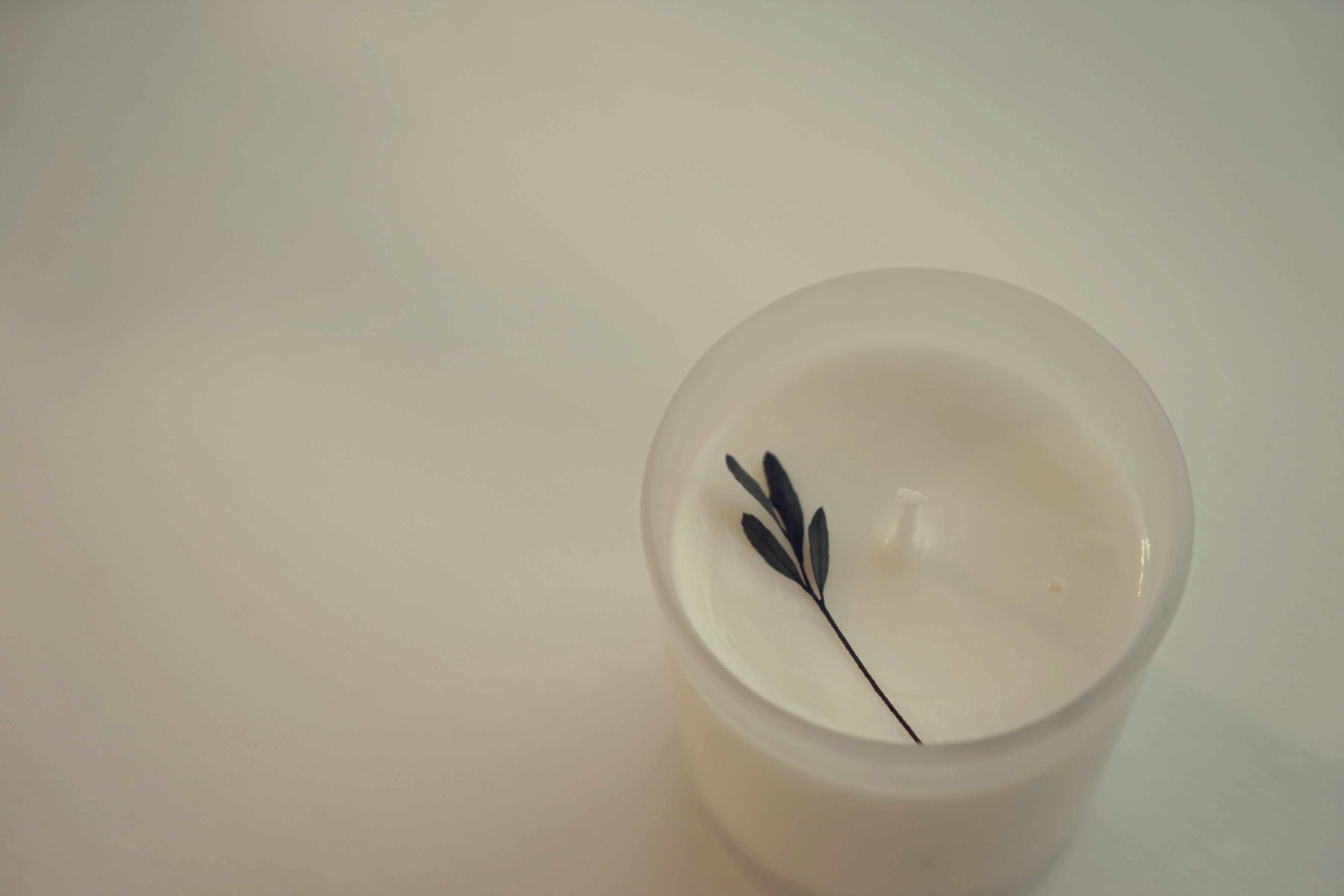 Lamplight and Leaf: A Minimalist Candle Study