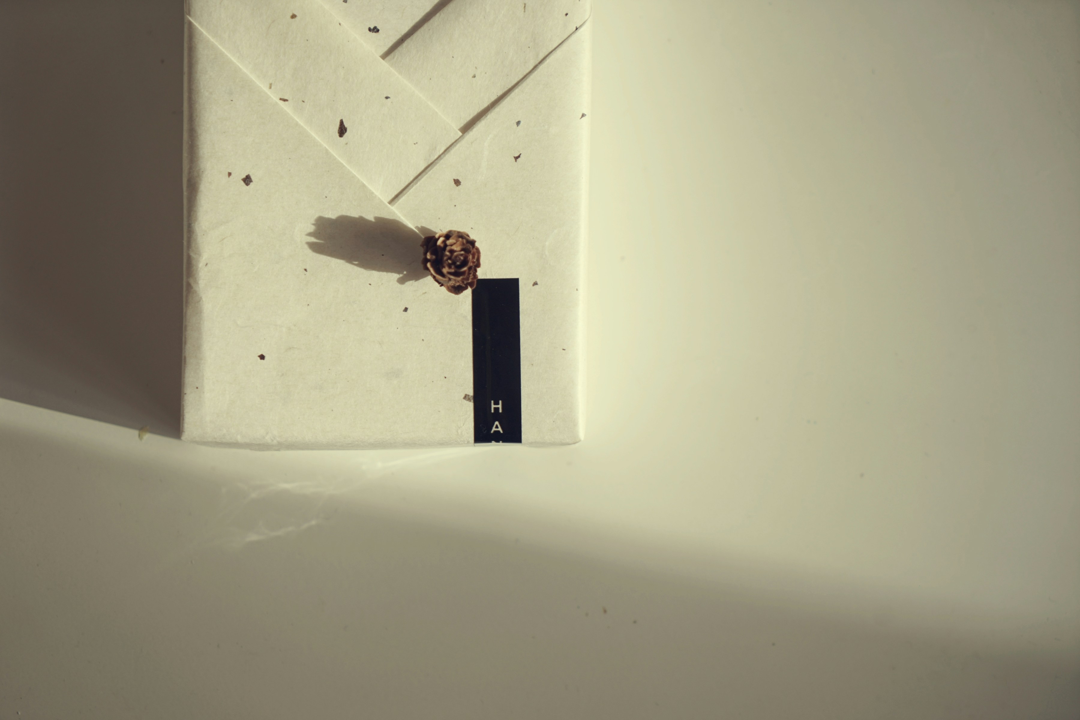 Lone seed on a quiet white edge