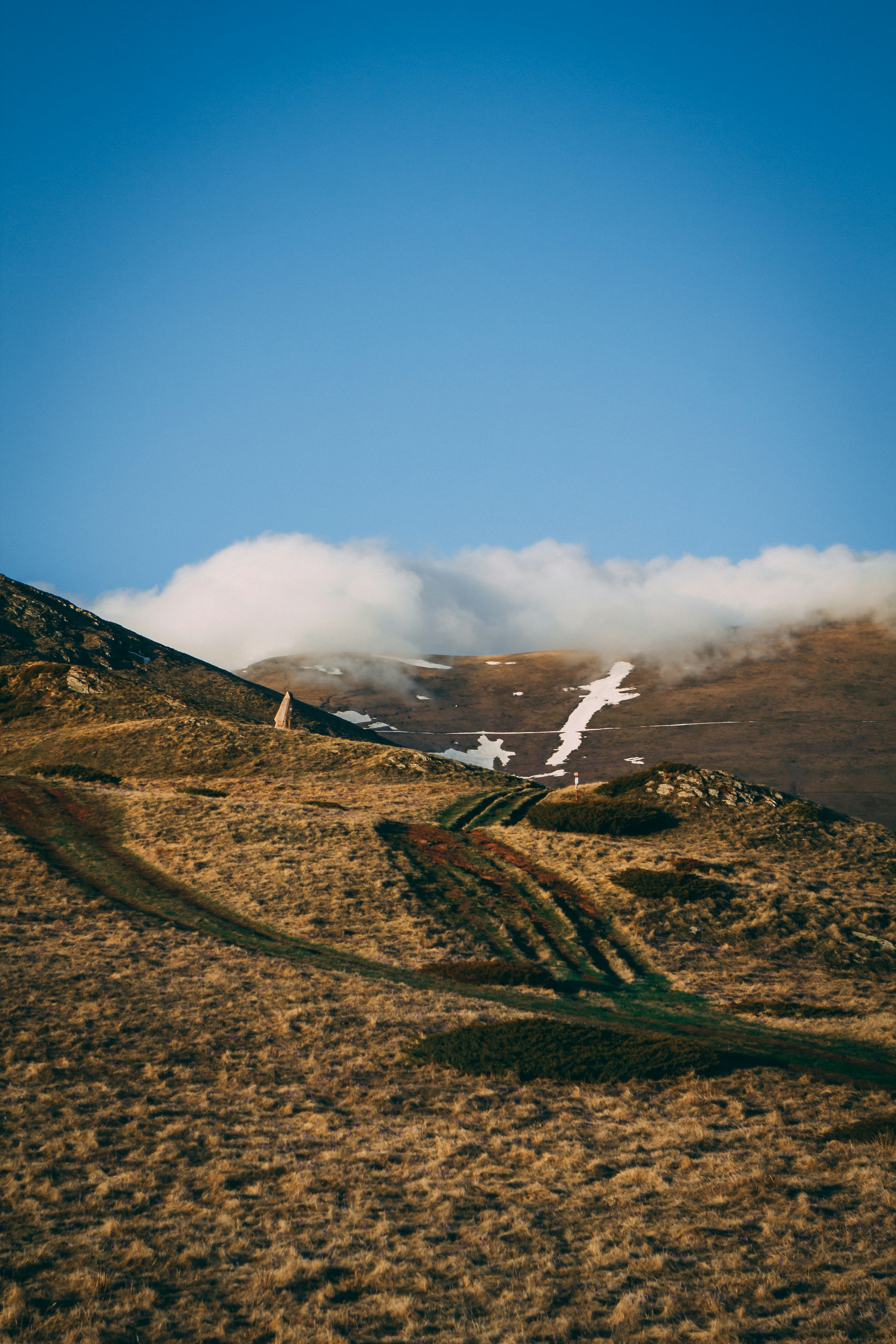 Whispering Trails of Misty Peaks