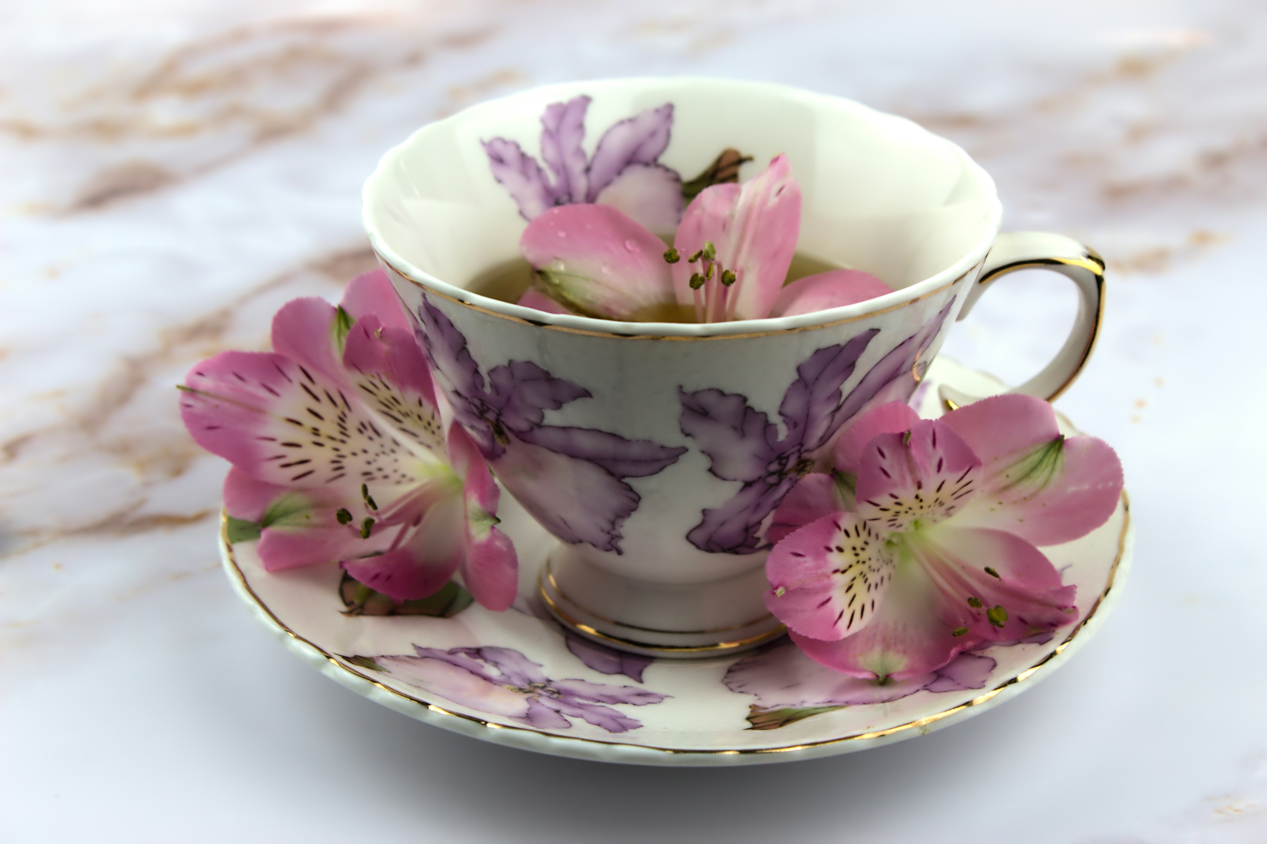Delicate porcelain teacup adorned with pink flowers, resting on a matching saucer, surrounded by additional blooms. The composition highlights a serene and inviting atmosphere.