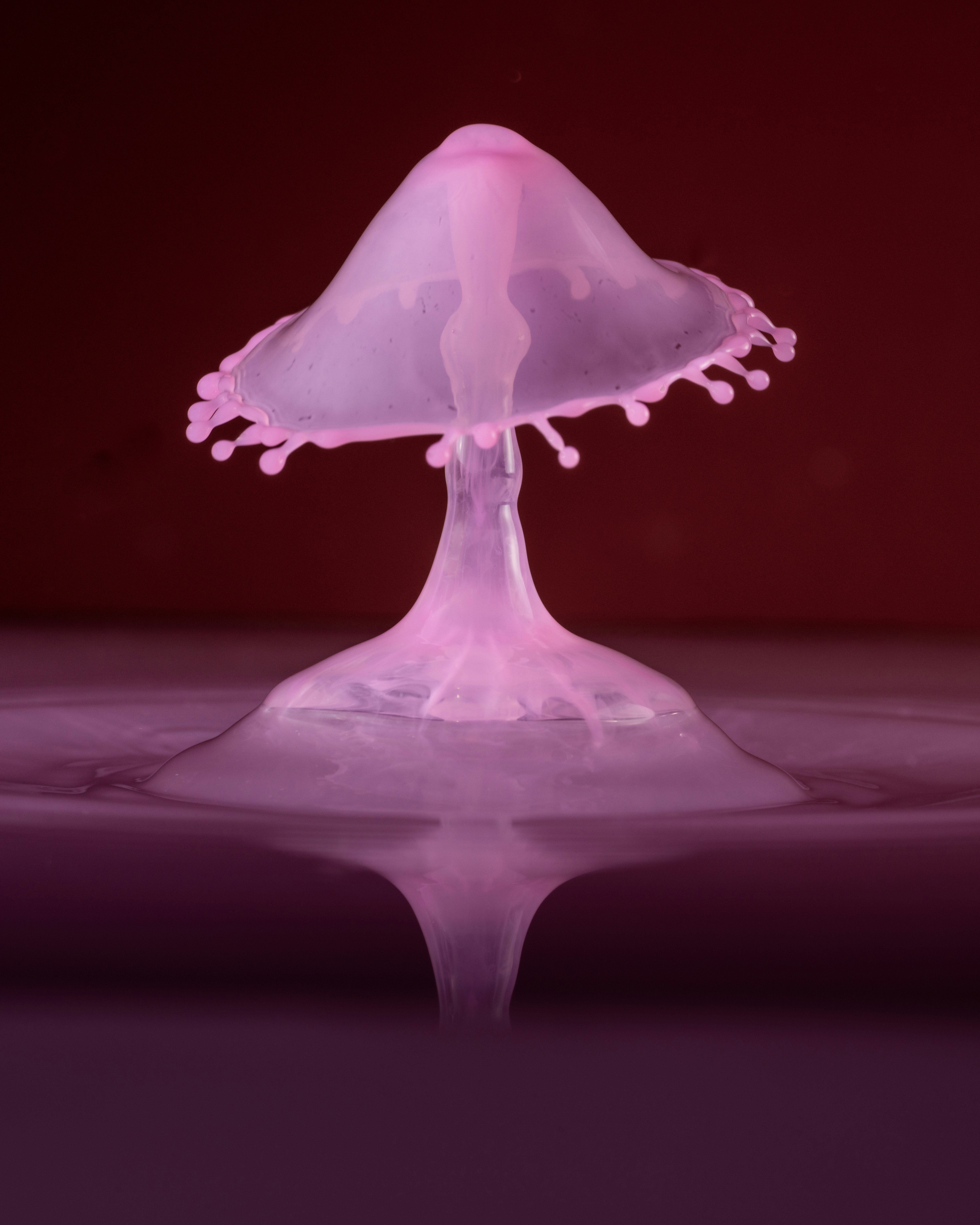 a jellyfish in the water