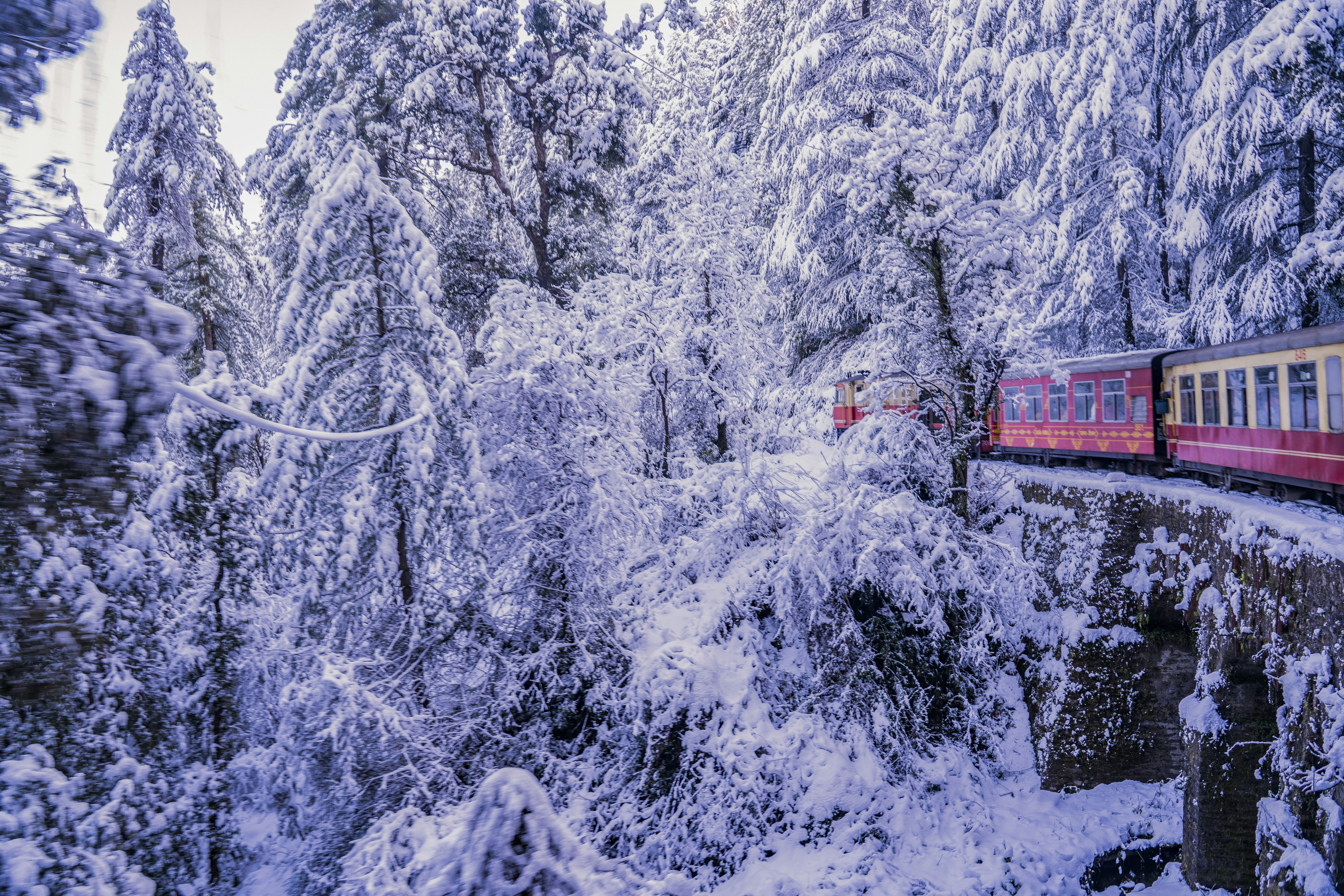 A train going through a snowy forest photo – Free Nature Image on Unsplash