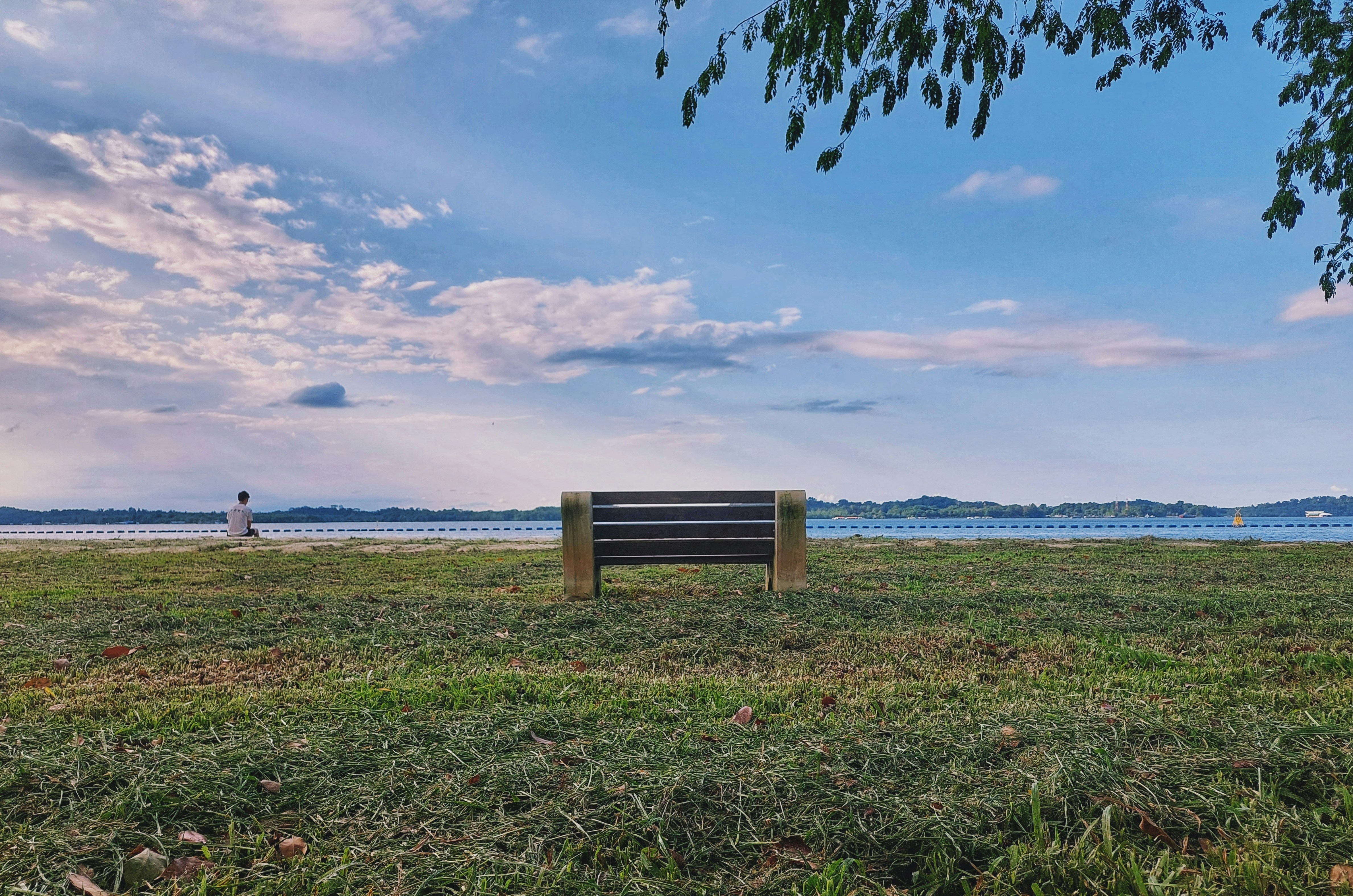 A bench sits unoccupied photo – Free Pasir ris Image on Unsplash