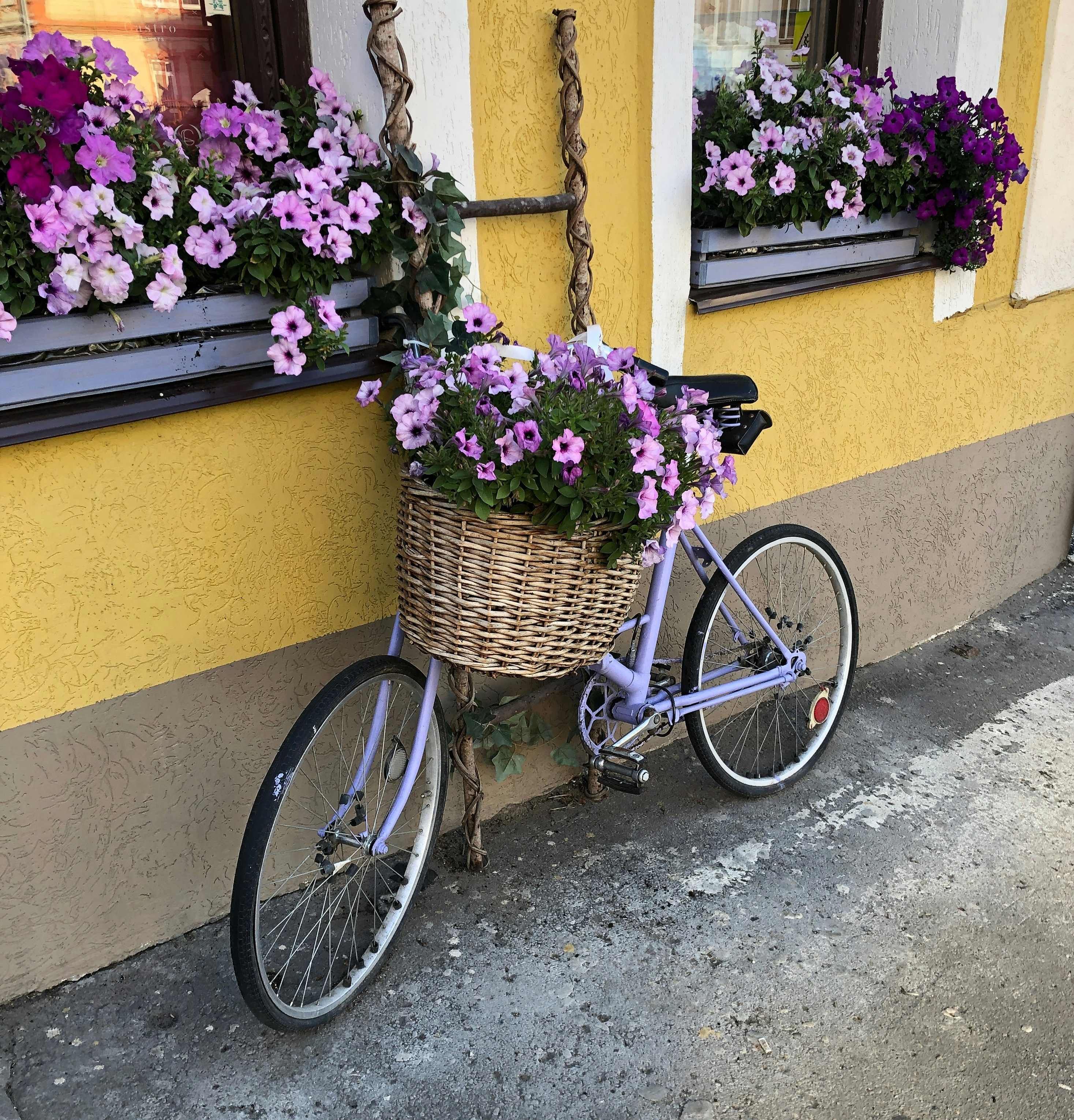 A lavender bicycle adorned with a basket overflowing with vibrant flowers rests against a yellow wall, creating a charming urban scene.