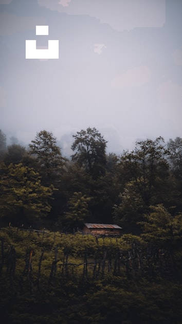숲 한가운데에 있는 집 사진 Unsplash의 무료 마살 이미지