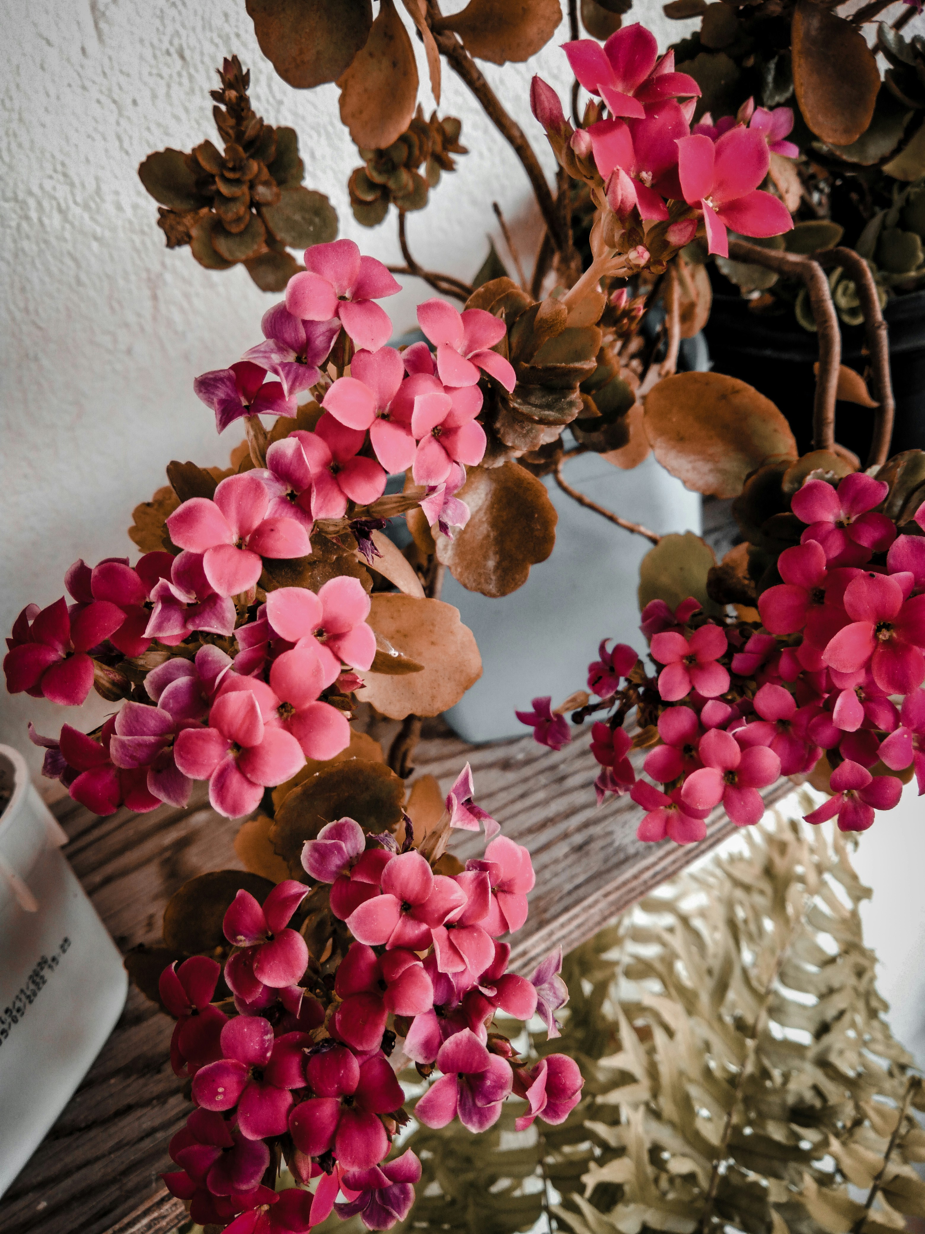 a group of flowers