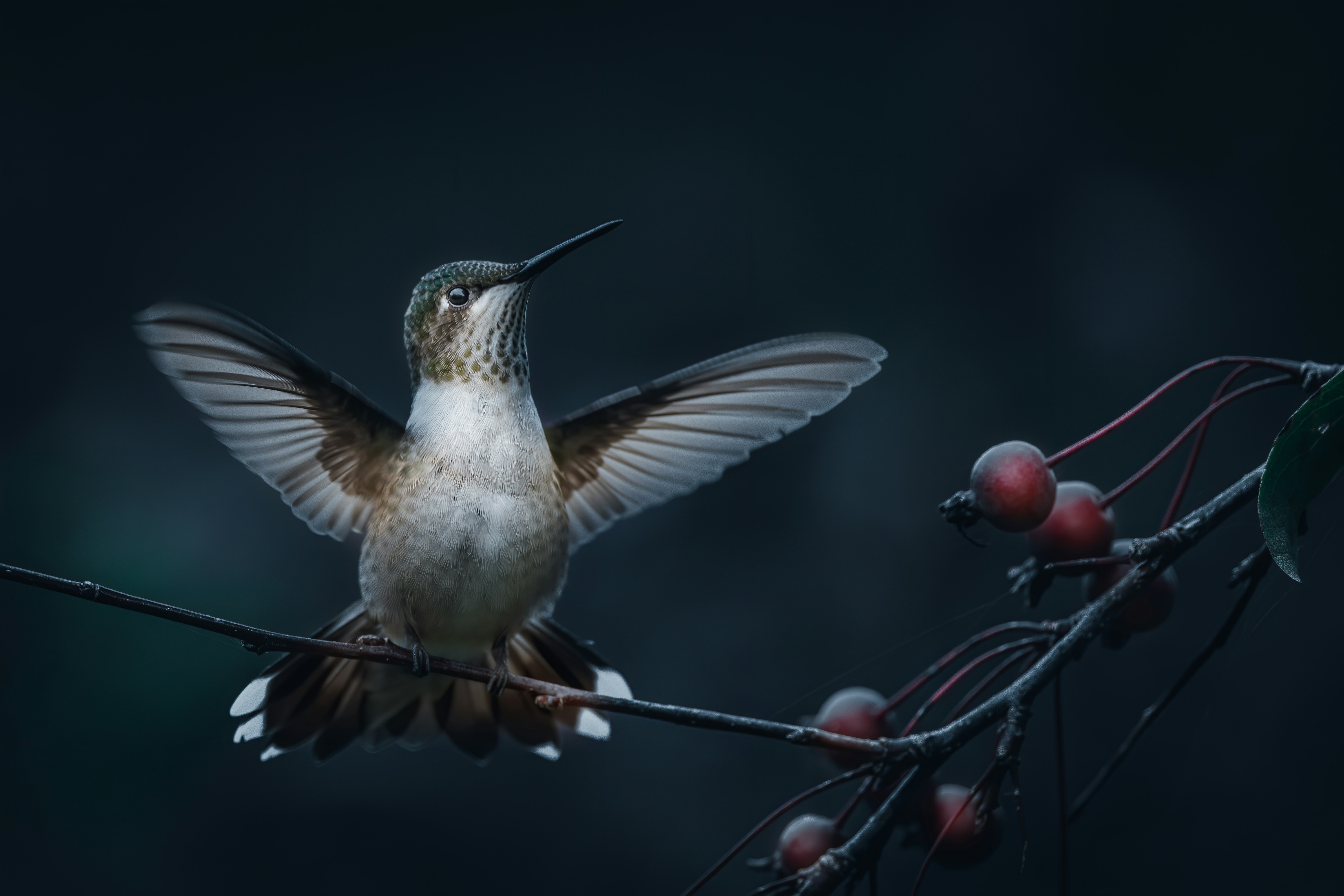 a bird flying over a branch with berries