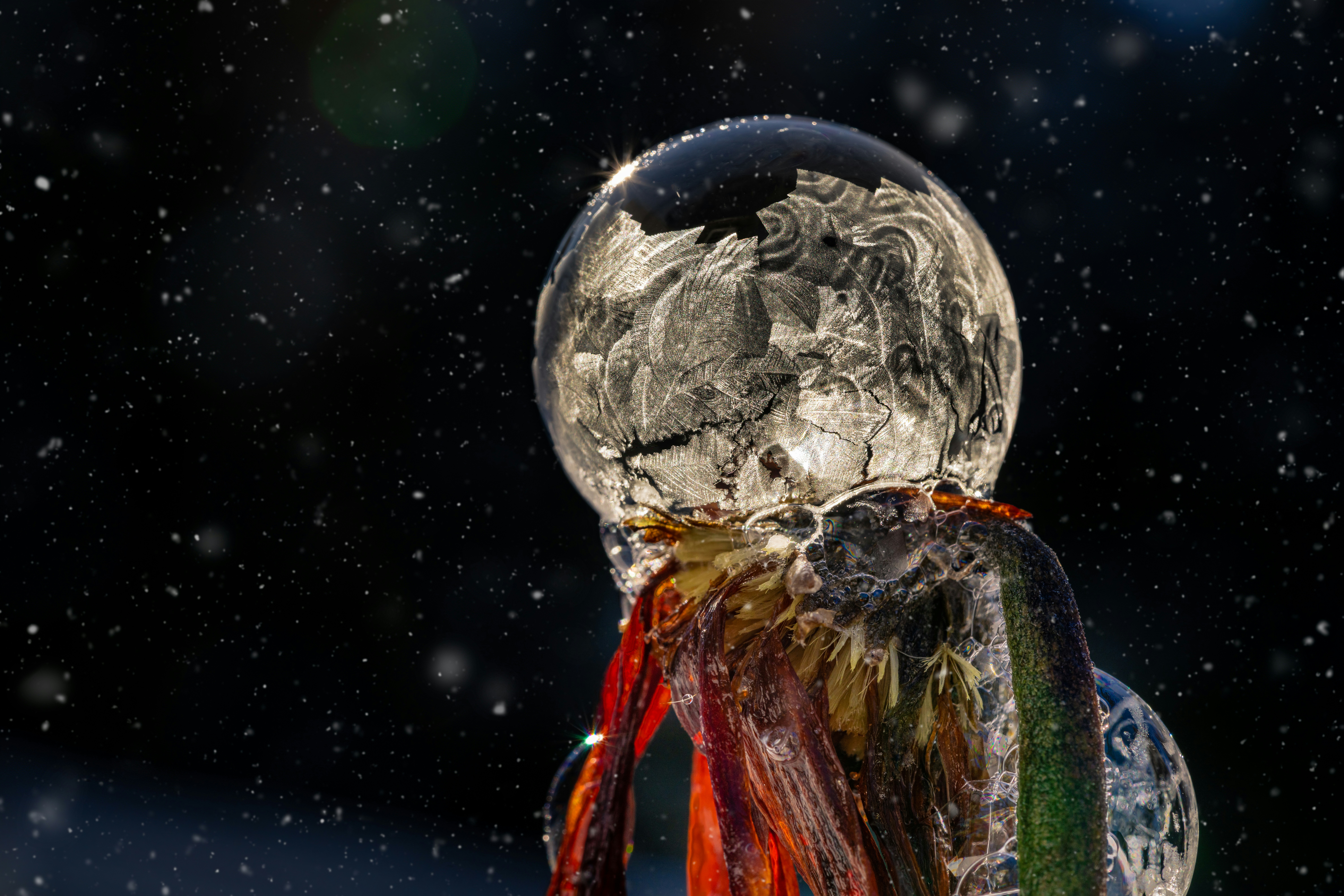 a snow globe sitting on top of a table