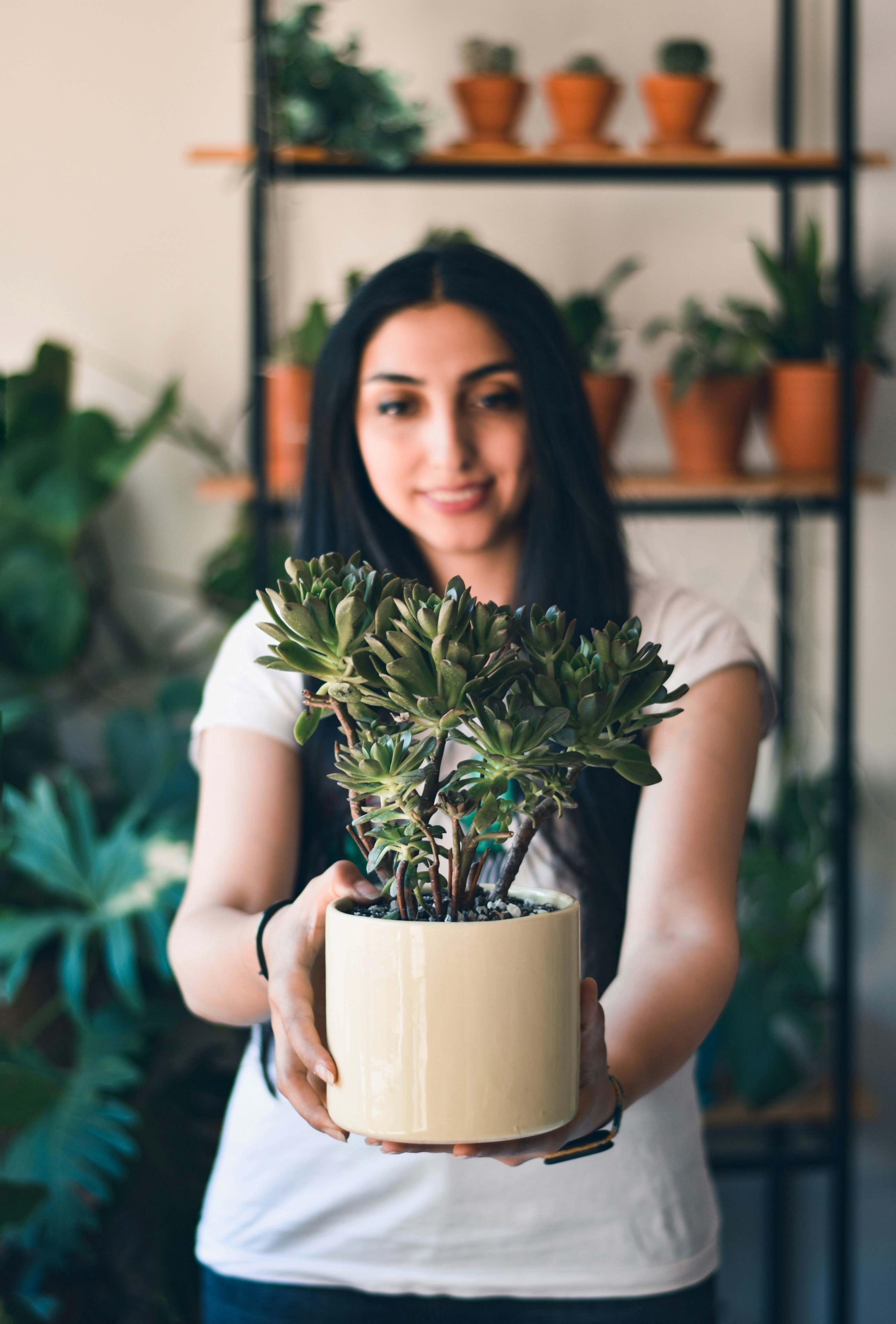 Green Moment: A Woman Extends a Succulent in a Cream Ceramic Pot