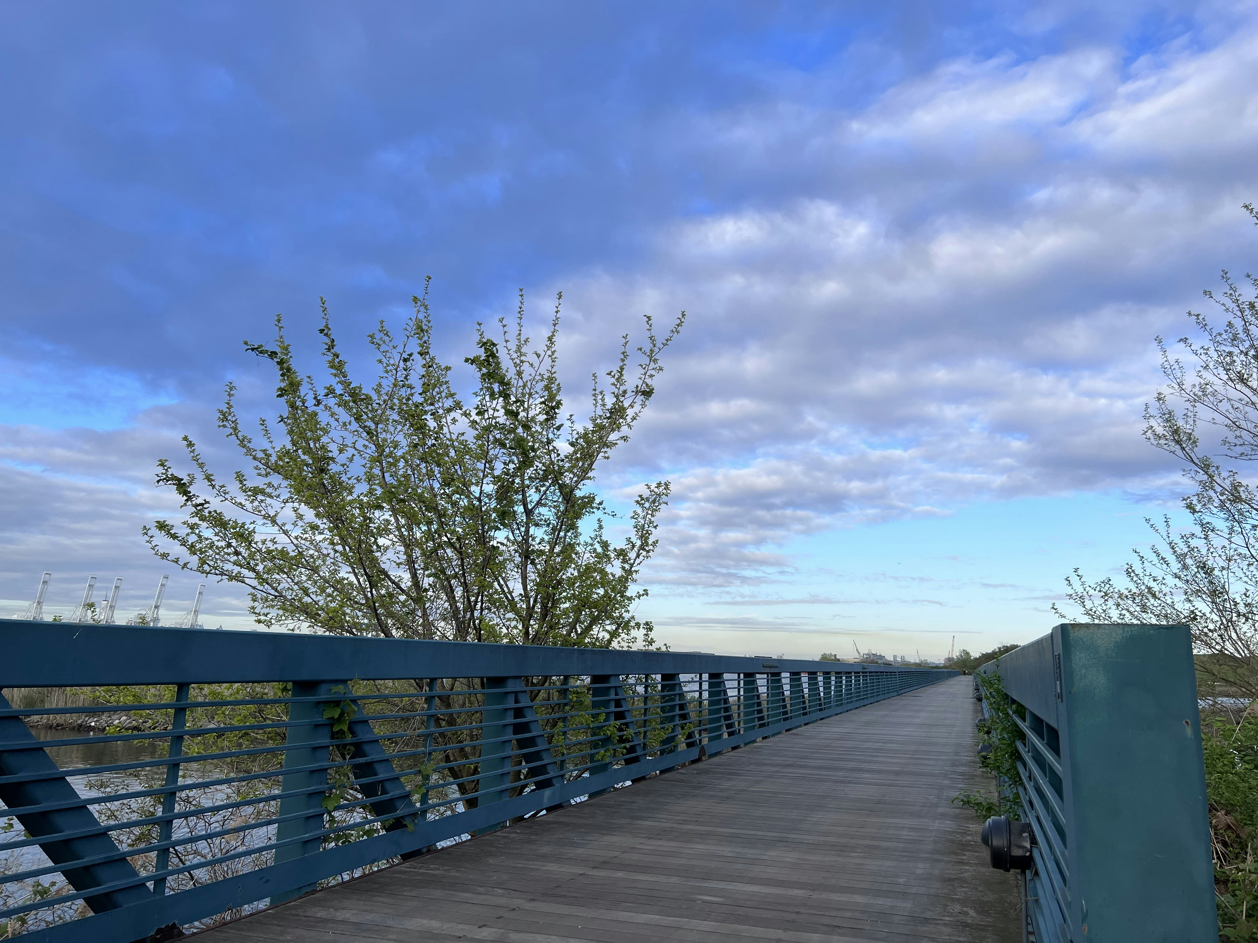 Wooden bridge with metal railings stretches into the distance under a cloudy blue sky.