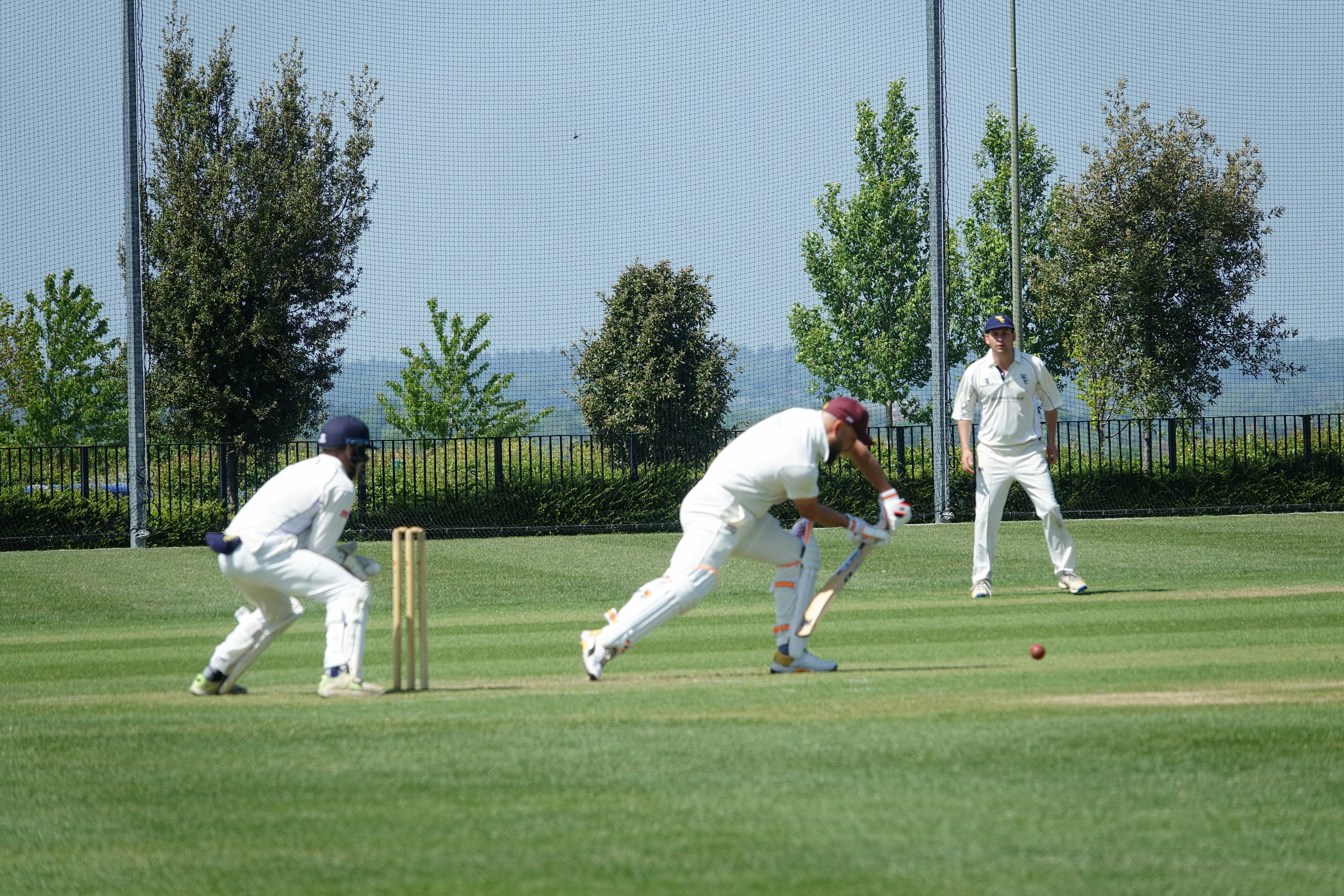 A group of men playing a game of cricket photo – Free Grey Image on ...