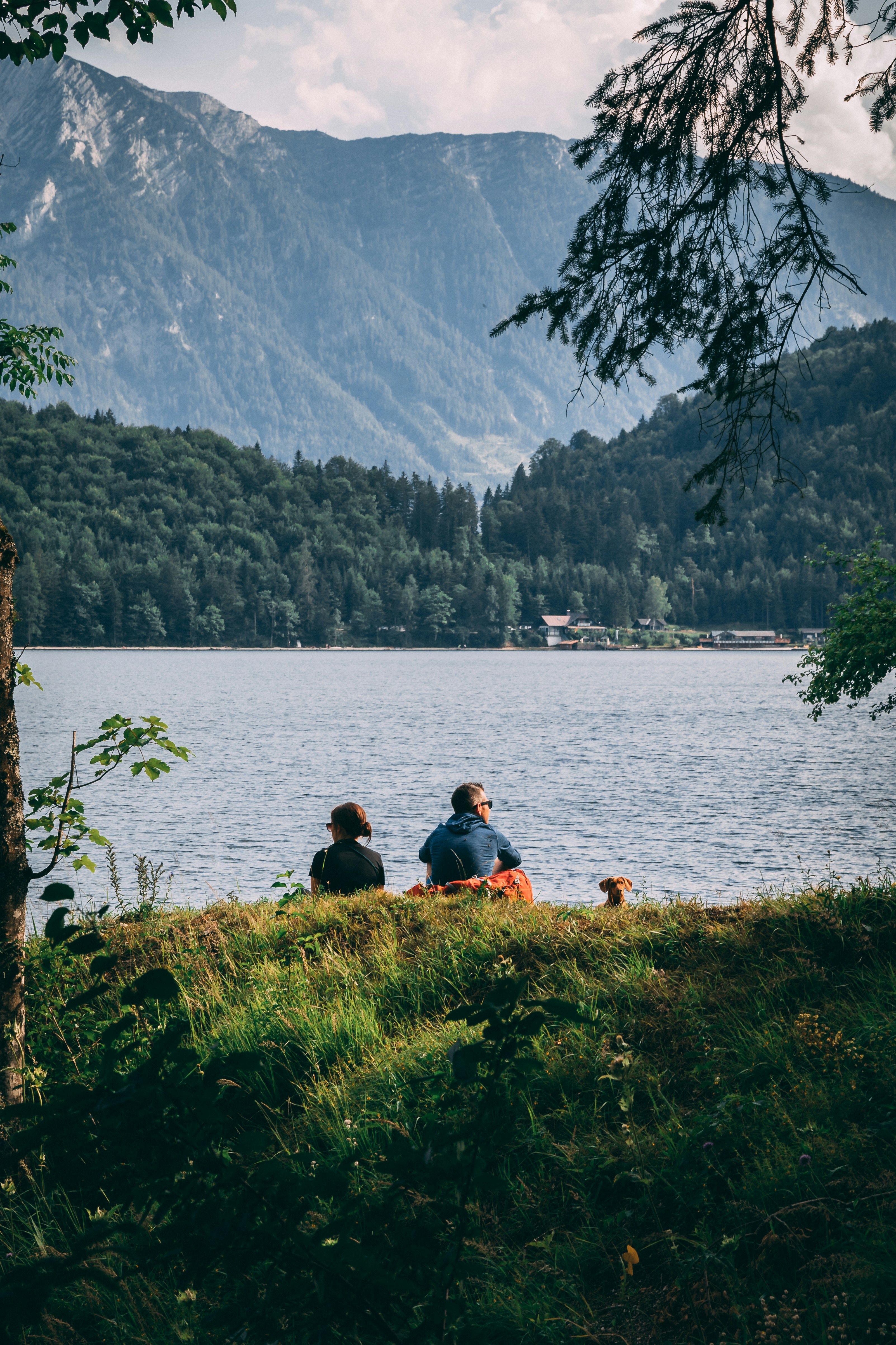 Lakeside Pause: Companions by the Mountainside