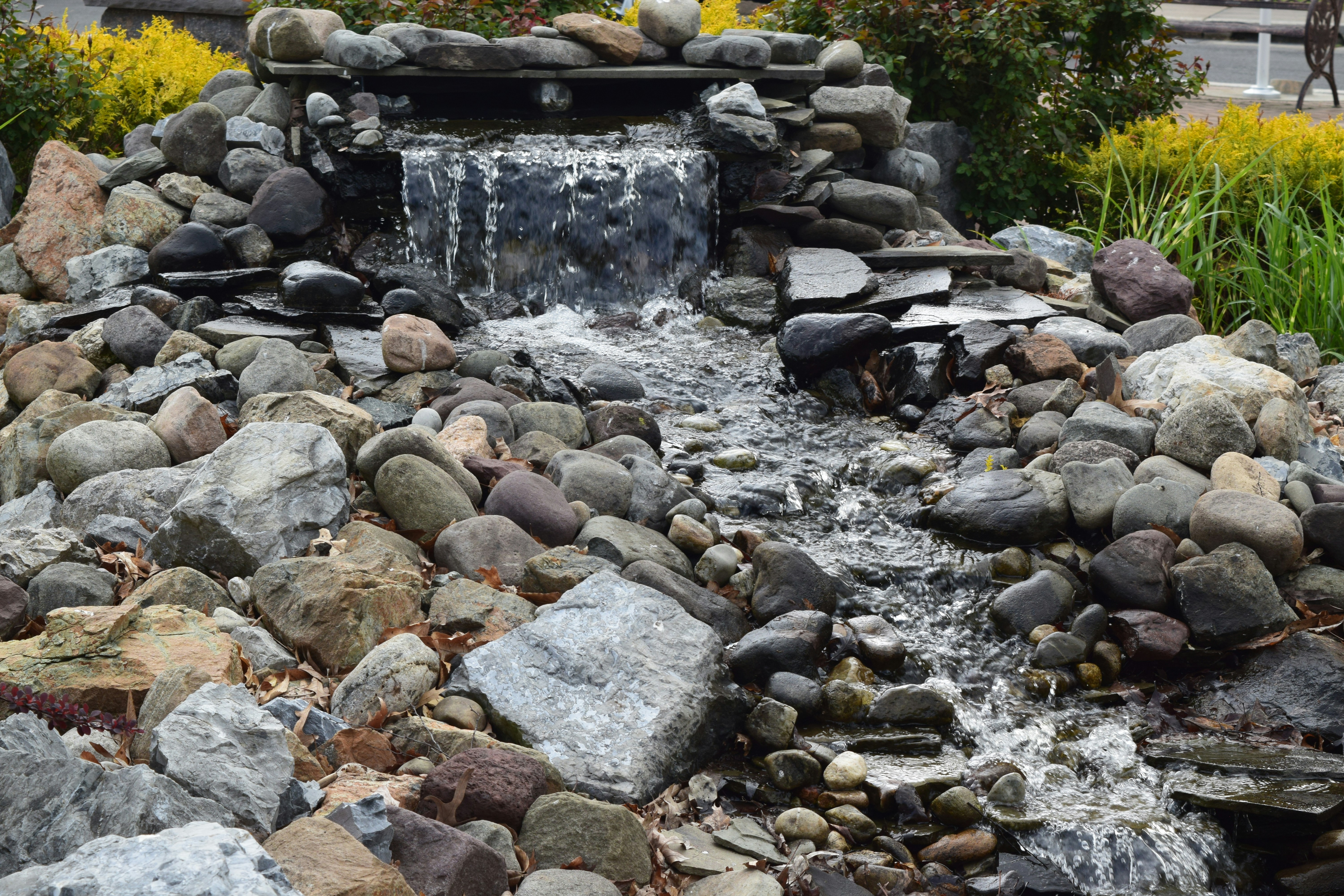 Whispering Waters on Stone Pathway