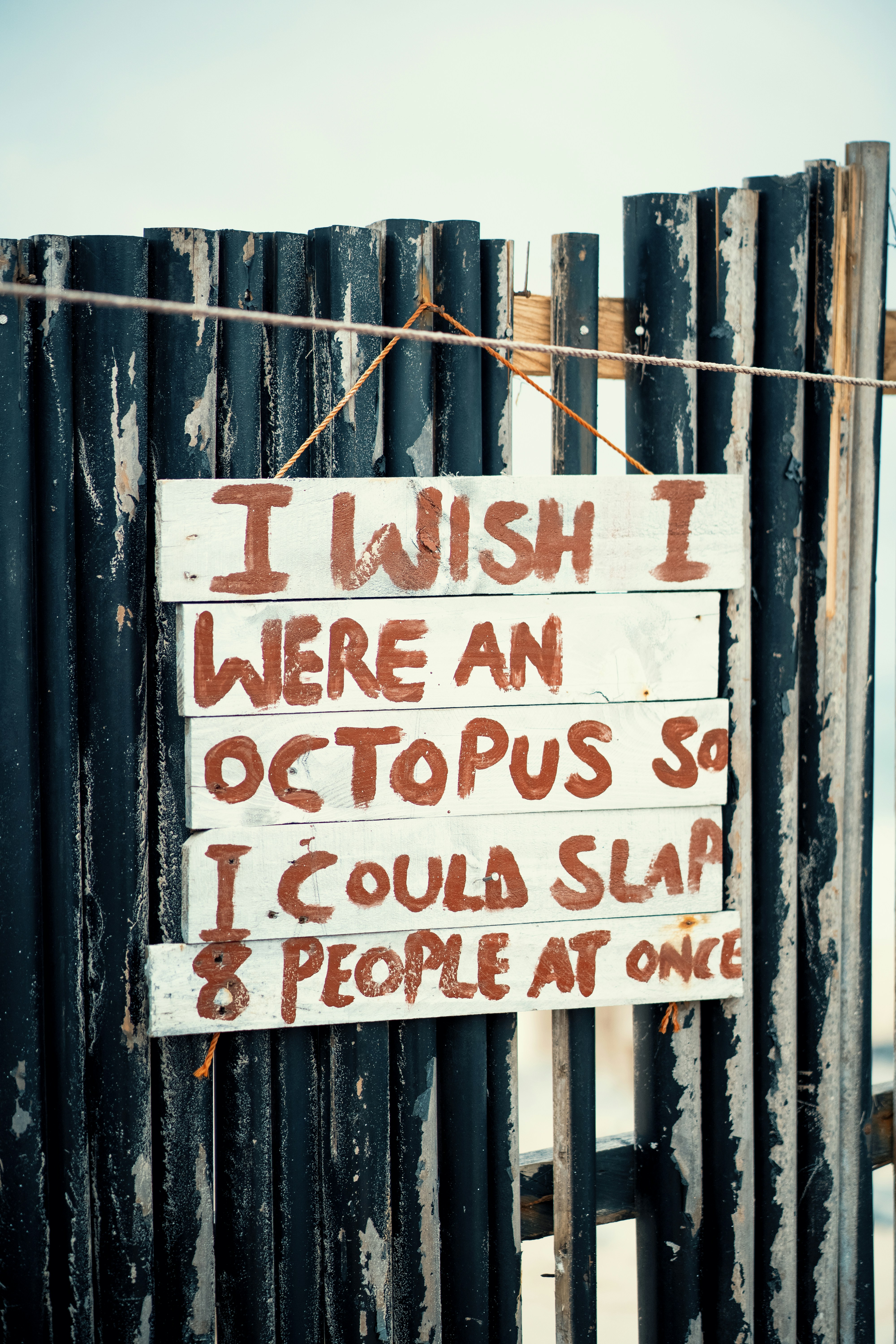 Whimsical Wishes on Weathered Wood
