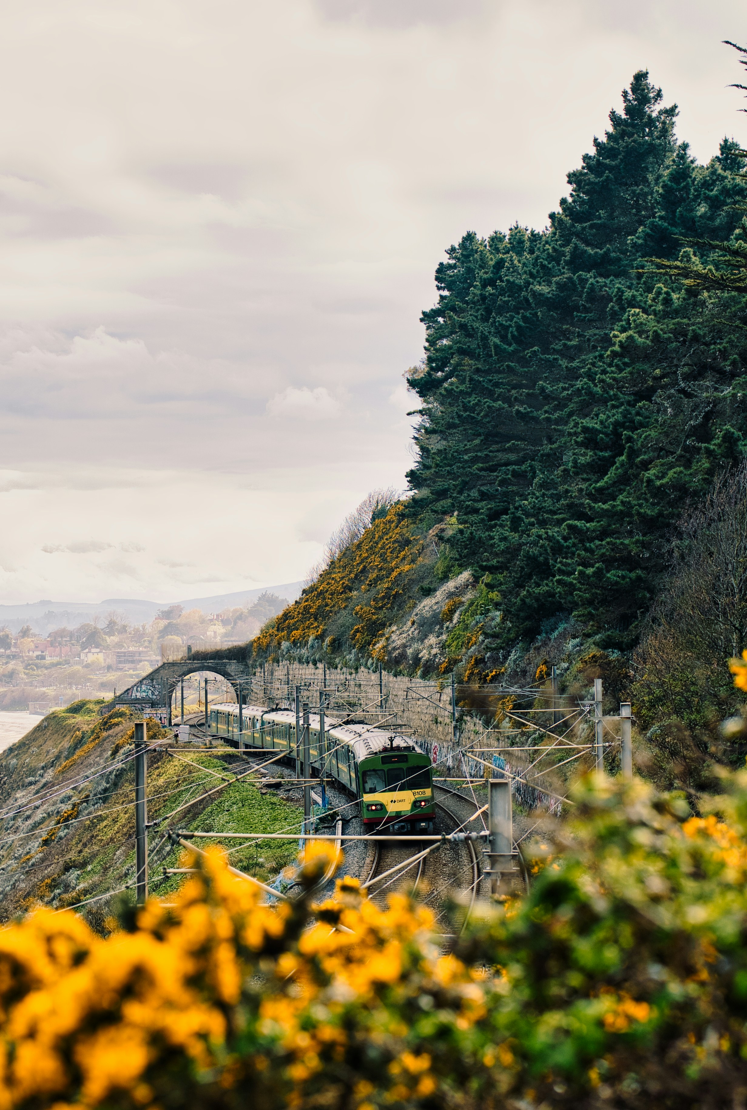 Un train descendant les voies ferrées à côté d’une forêt photo – Image ...