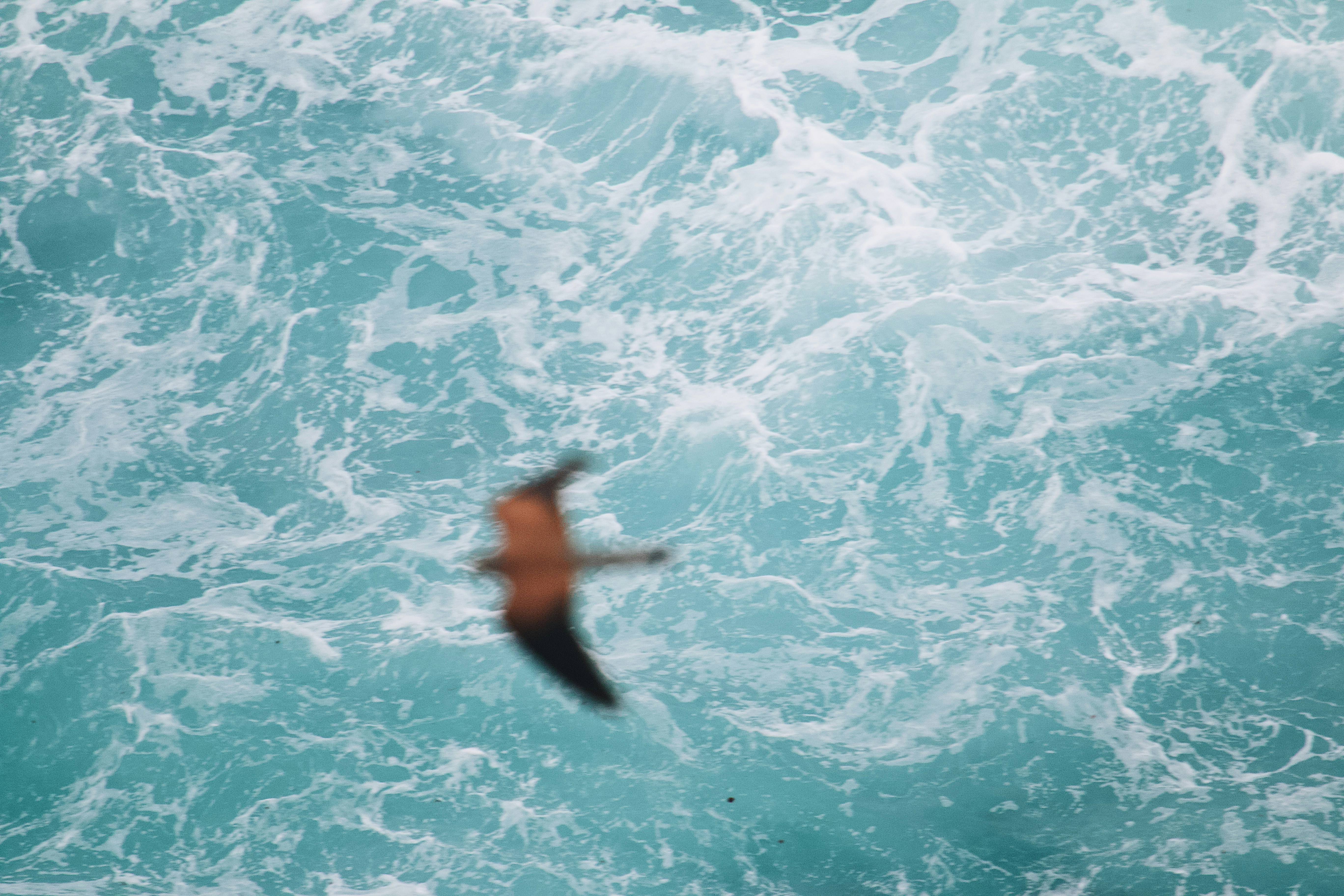 Blurred silhouette over turquoise surf: a distant flight above restless seas