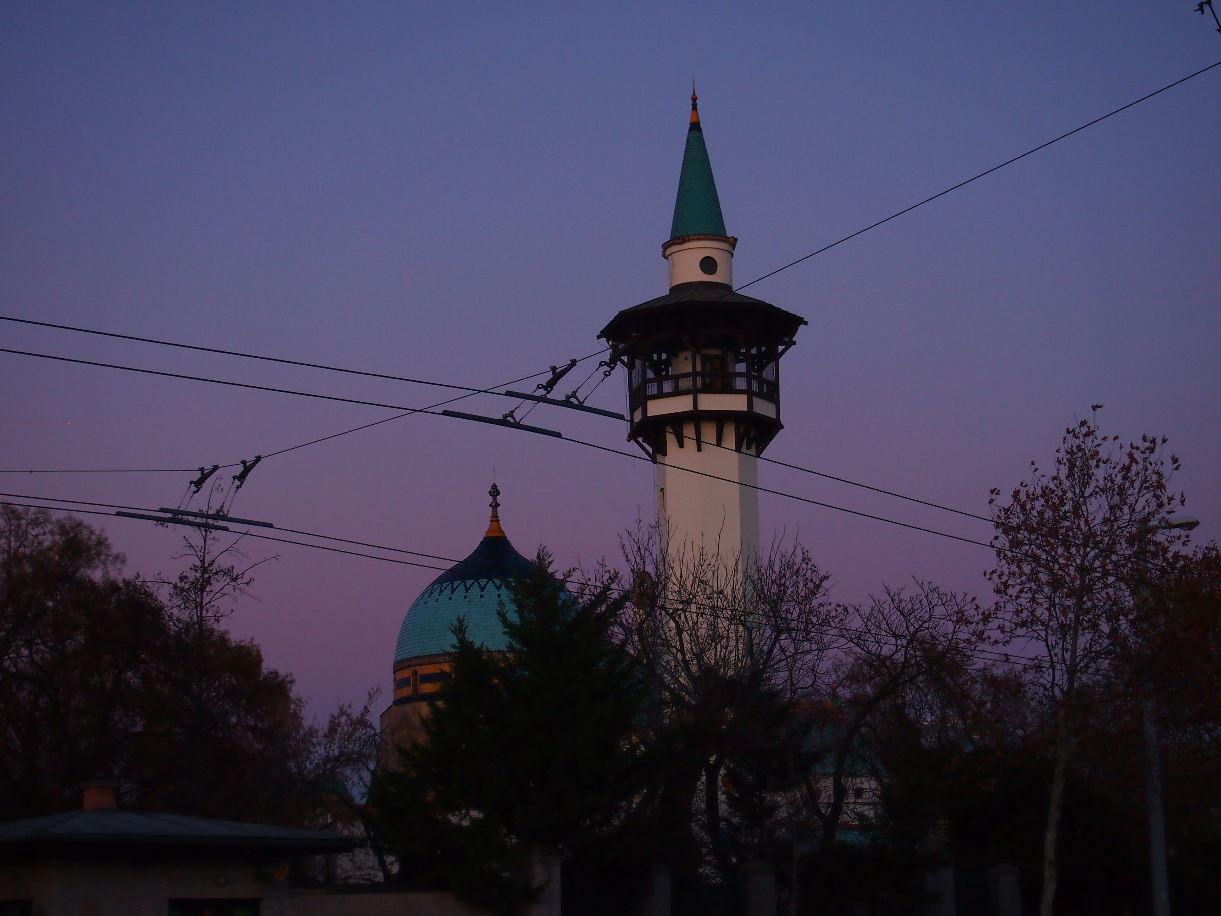 Twilight photograph of a turquoise-domed minaret rising among trees, with crisscrossing power lines and a purple-pink sky.