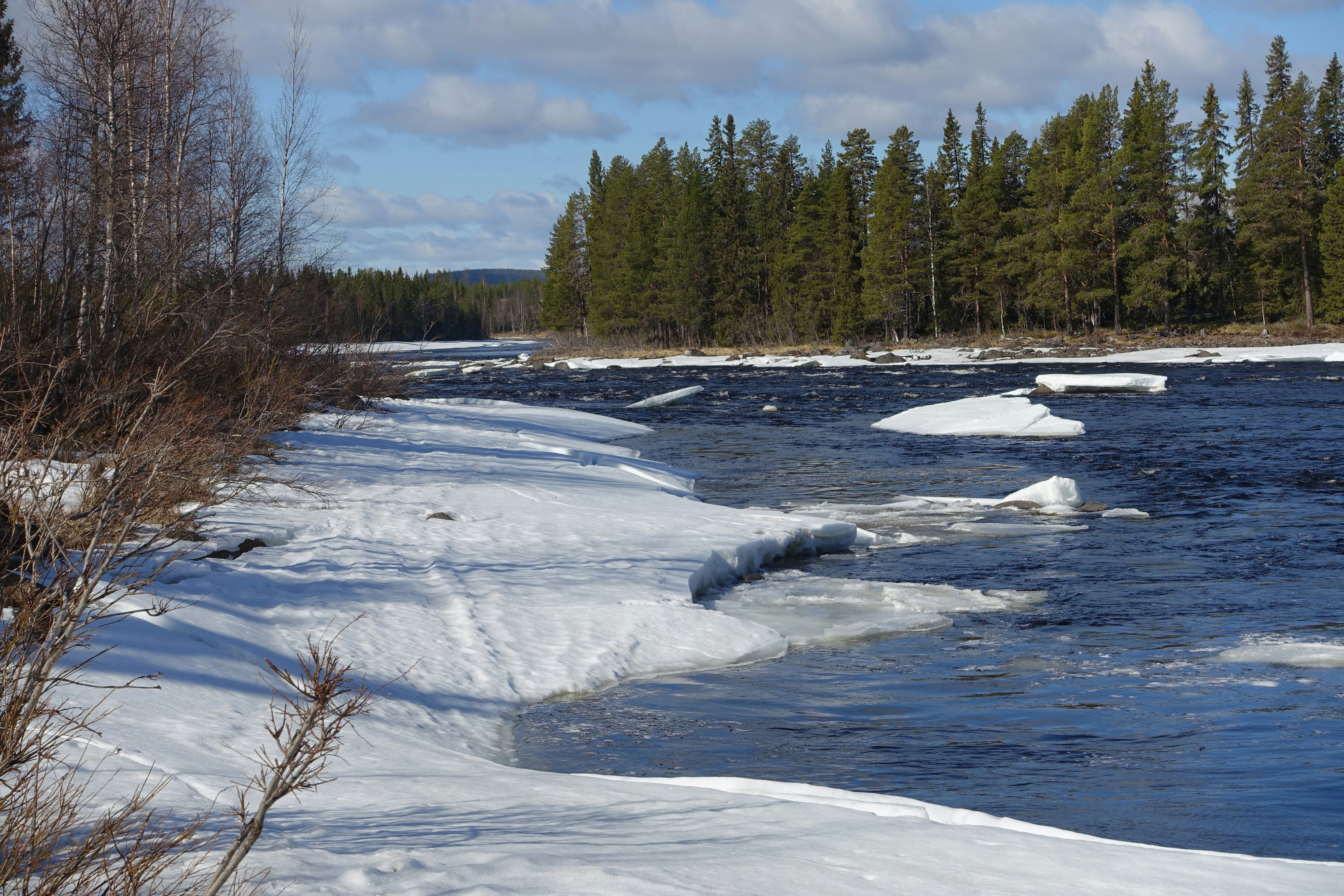 A river running through a forest covered in snow photo – Free ...