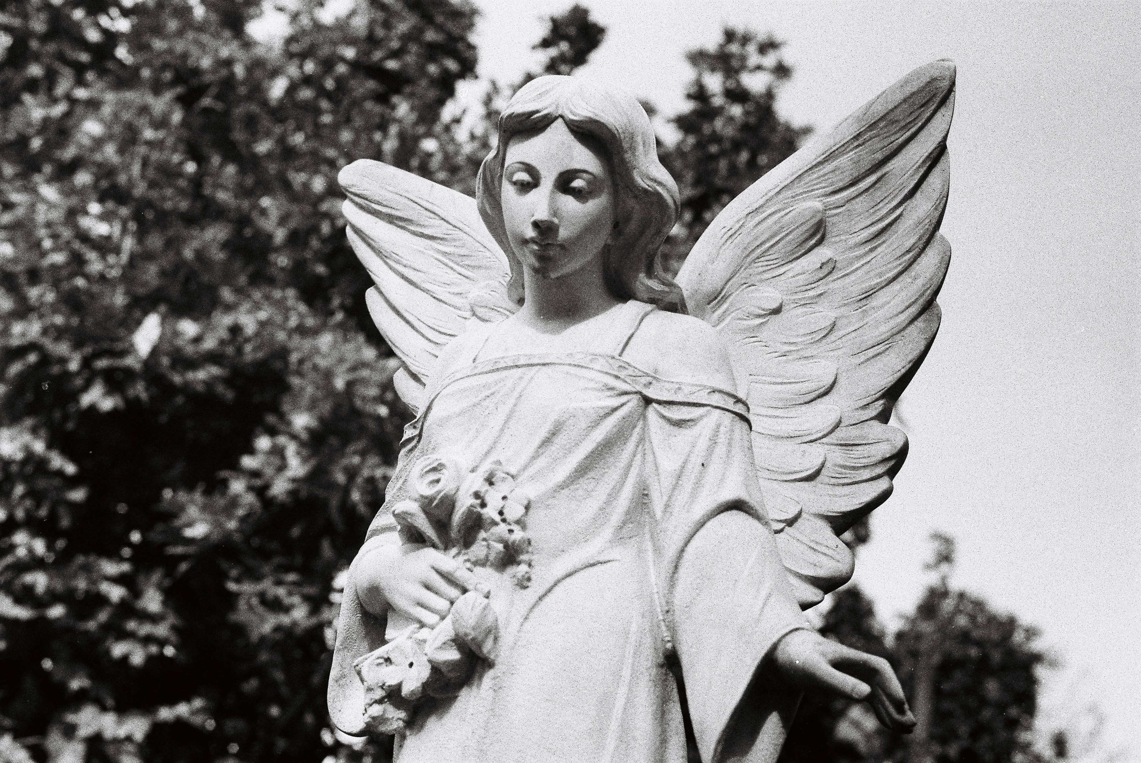 A black and white photo of a statue of an angel photo – Free Usa Image ...
