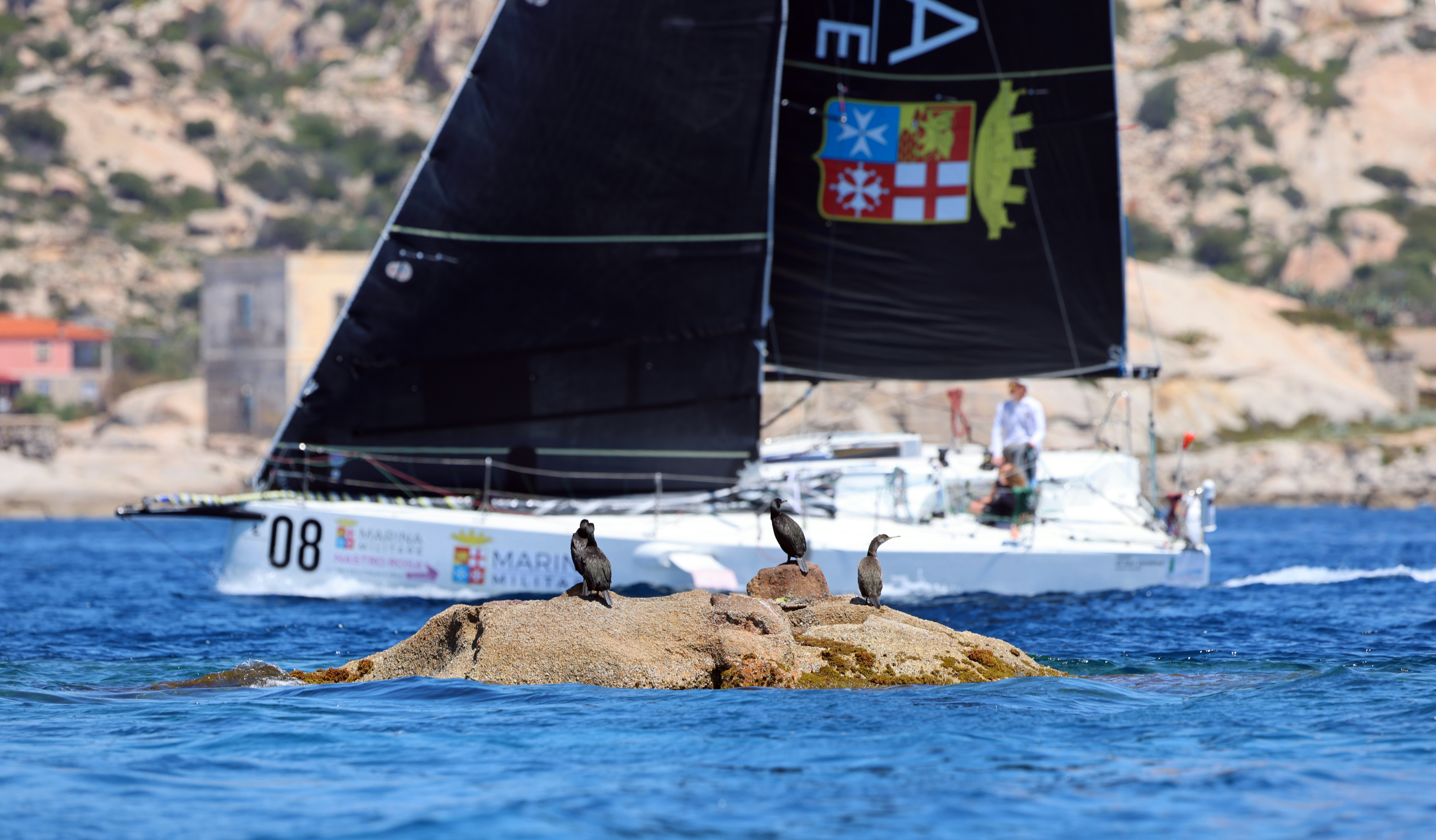 Rocky Outcrop Steady as Sailboats Pass