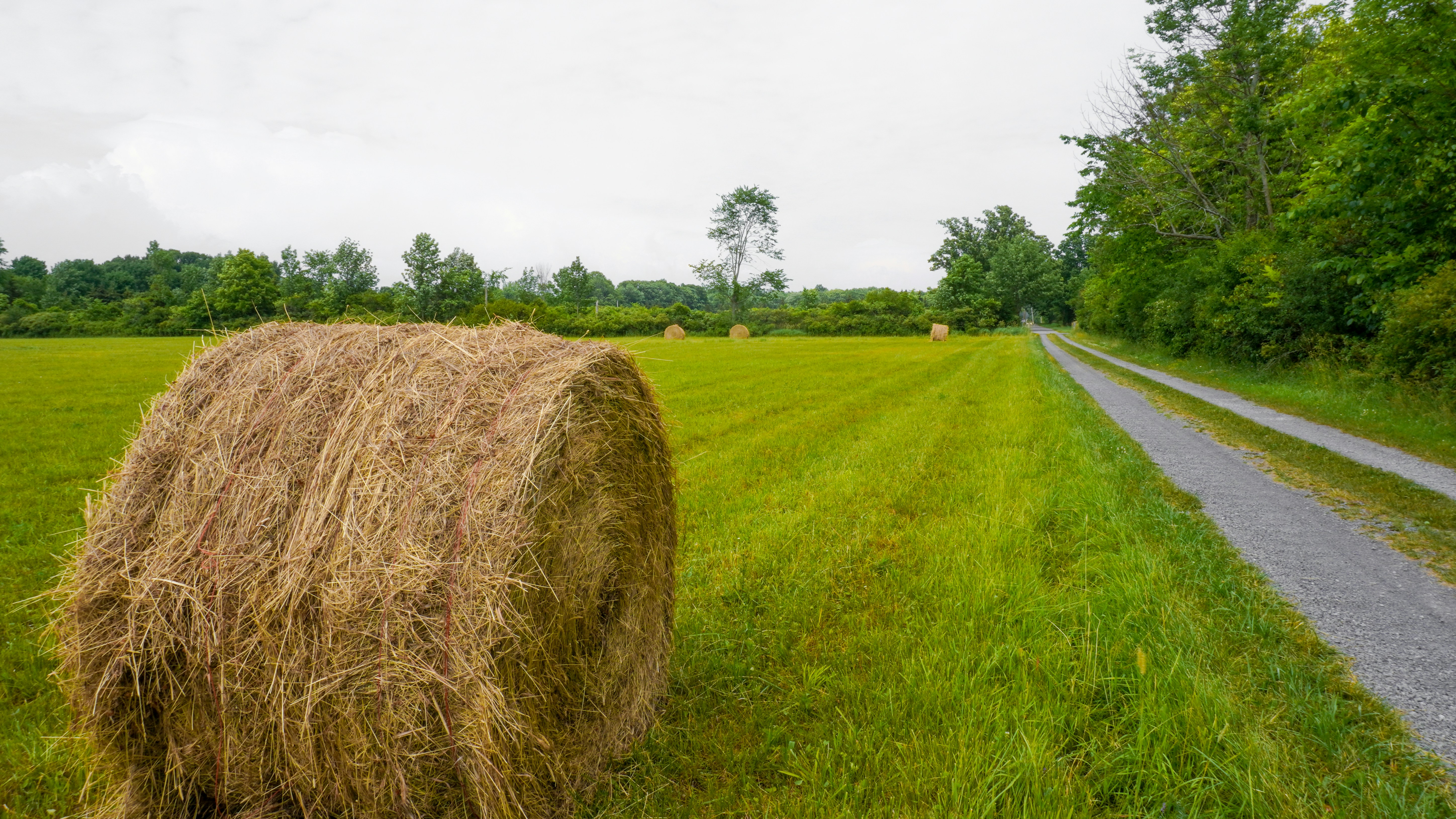 Lone Hay Bale Framed by a Gravel Lane in a Verdant Field
