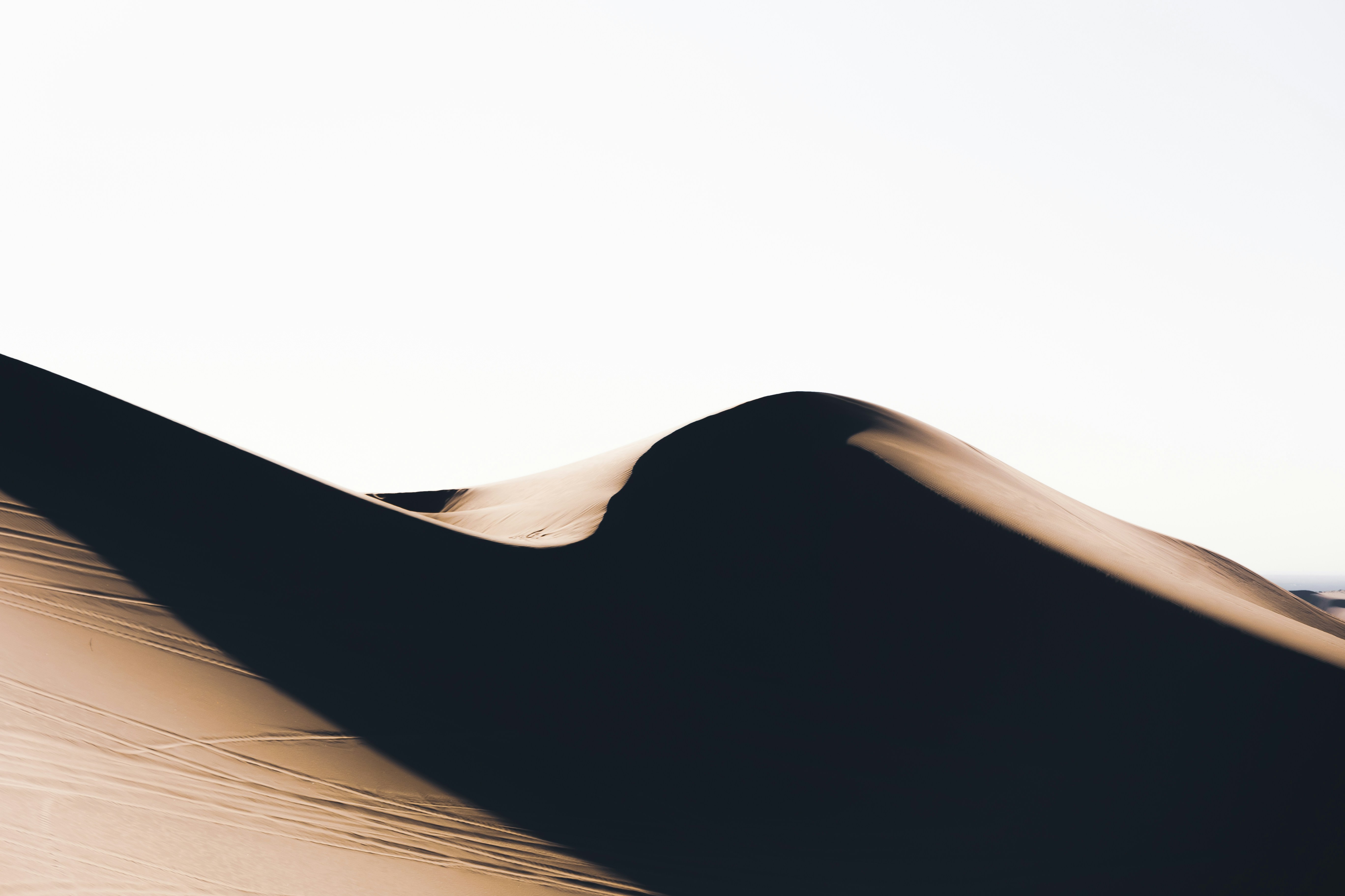 Whispers of the Dunes