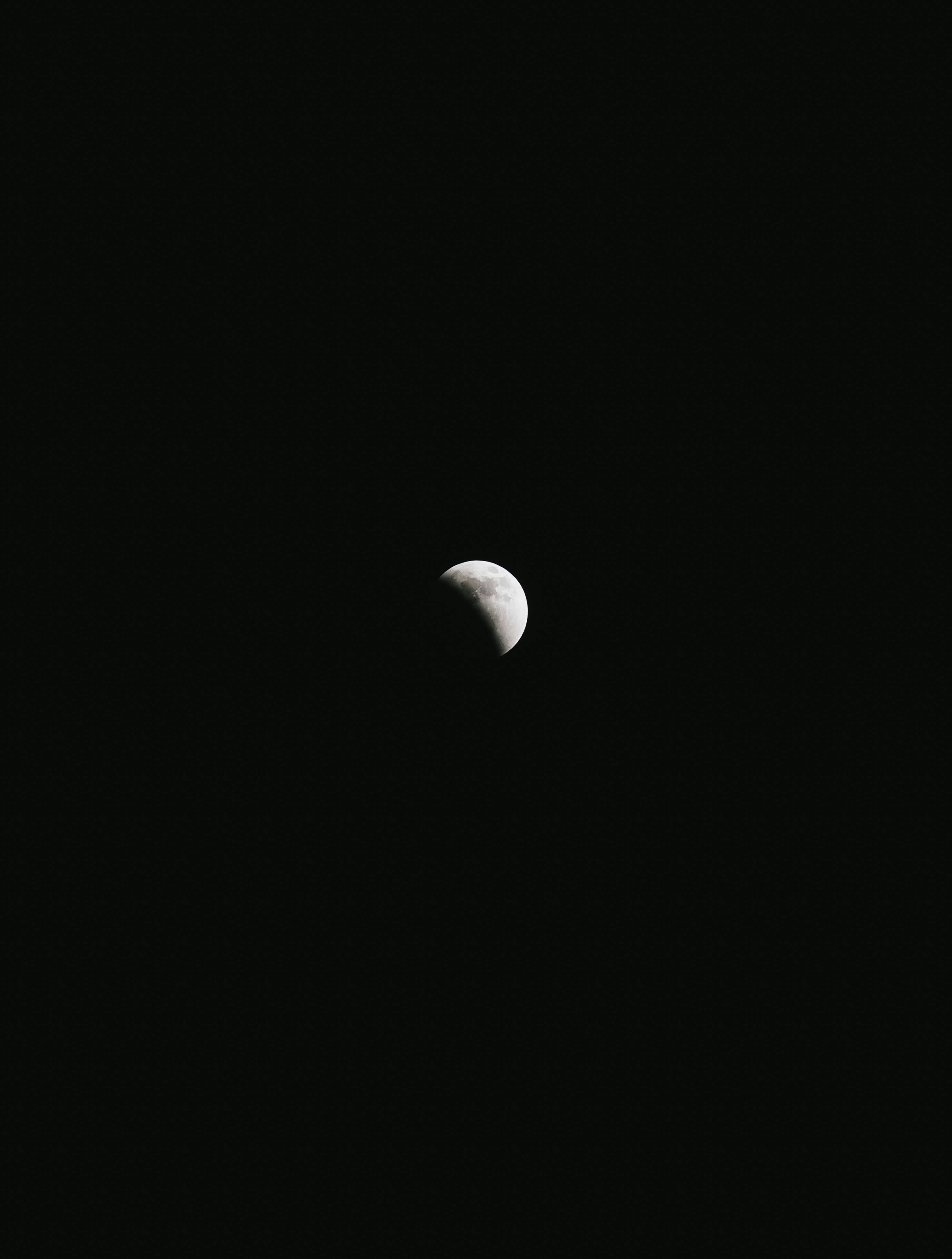 Crescent in the Velvet Night