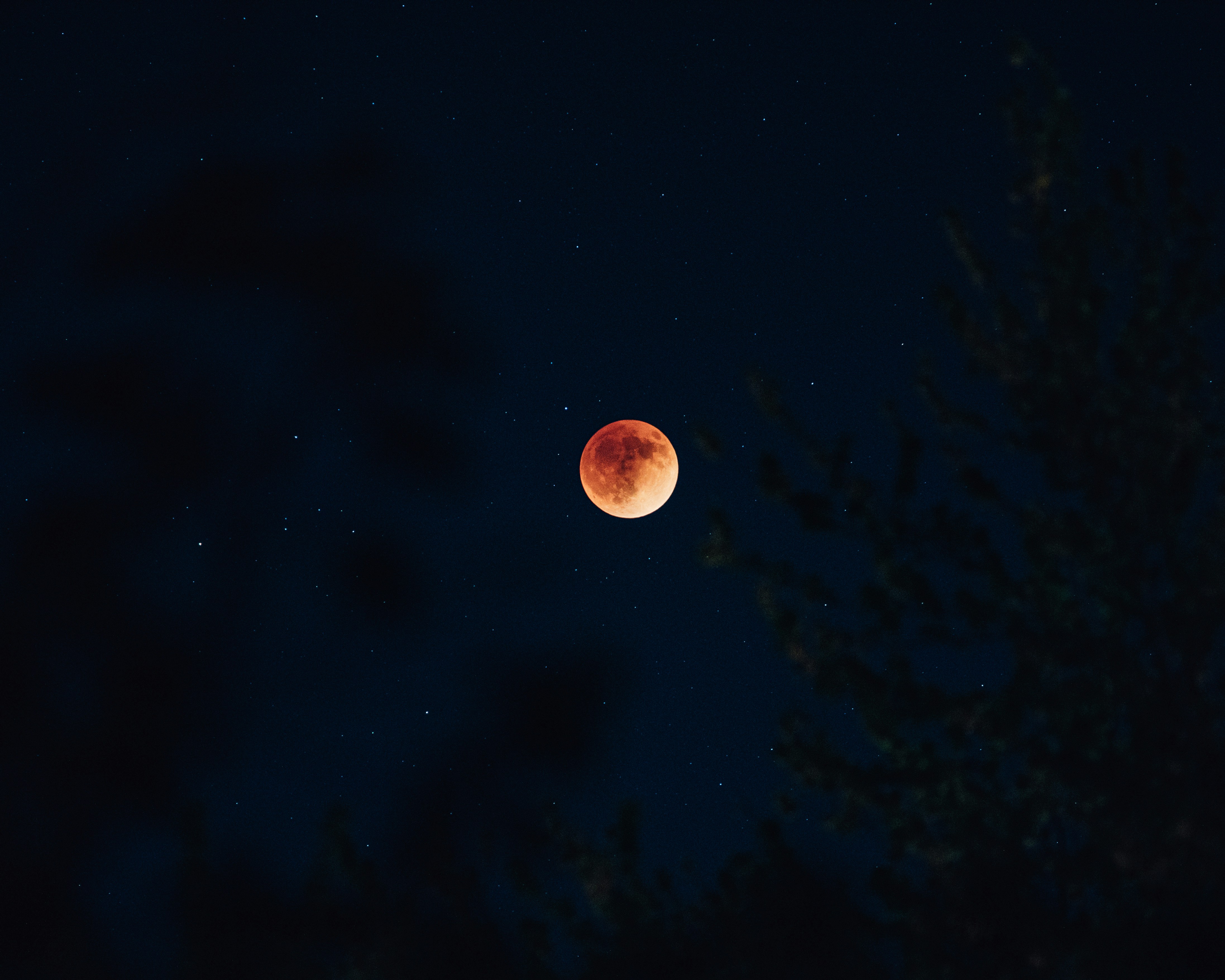 Blood moon glowing against a starry night sky with silhouetted branches.